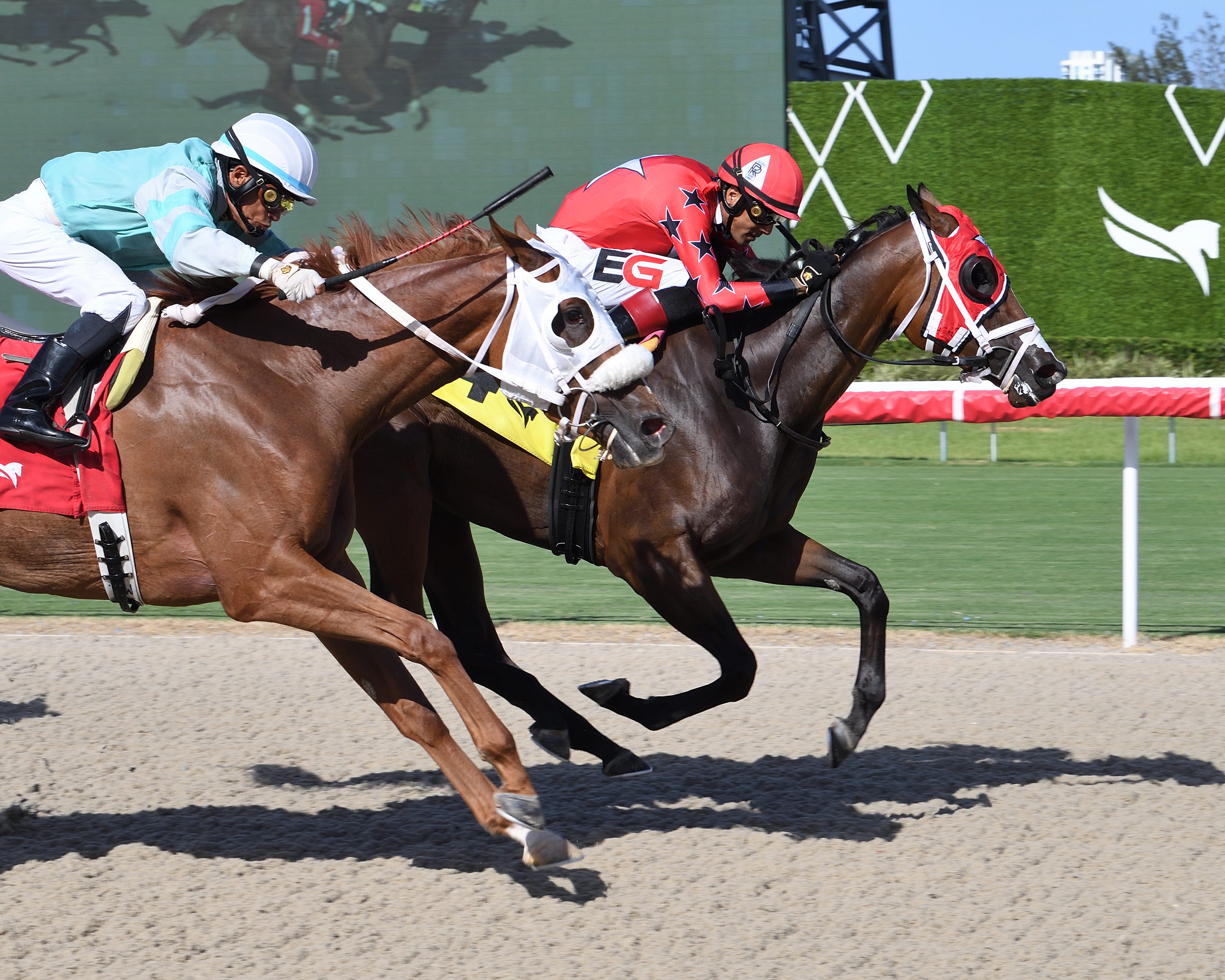 Scarlet Sands, on synthetic for first time, takes Miss Gracie in stakes ...