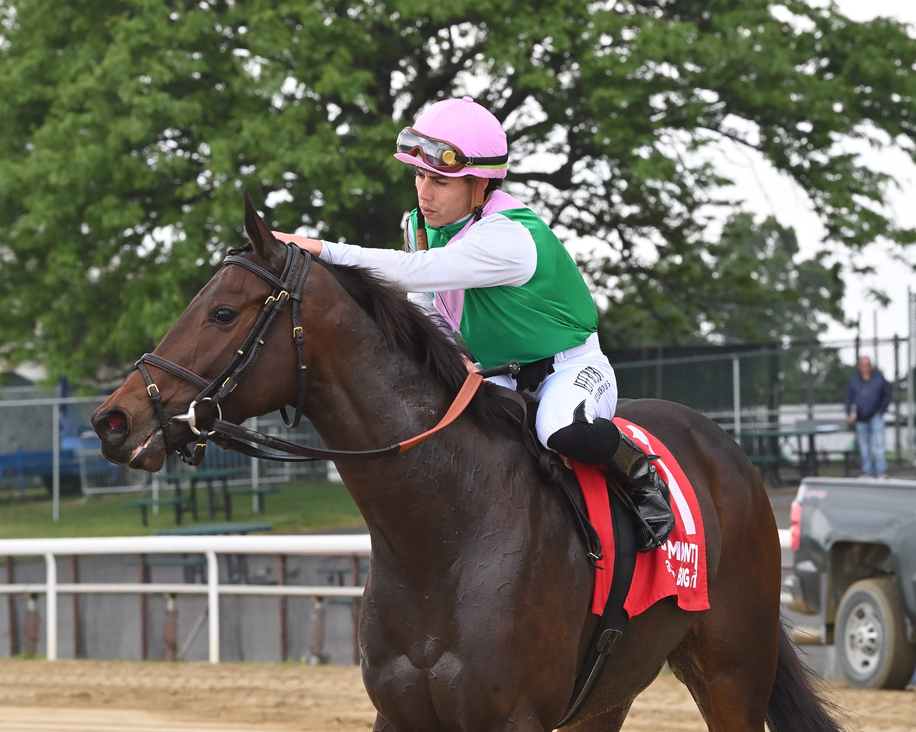 Brown trio seeking first graded win of year in Matchmaker