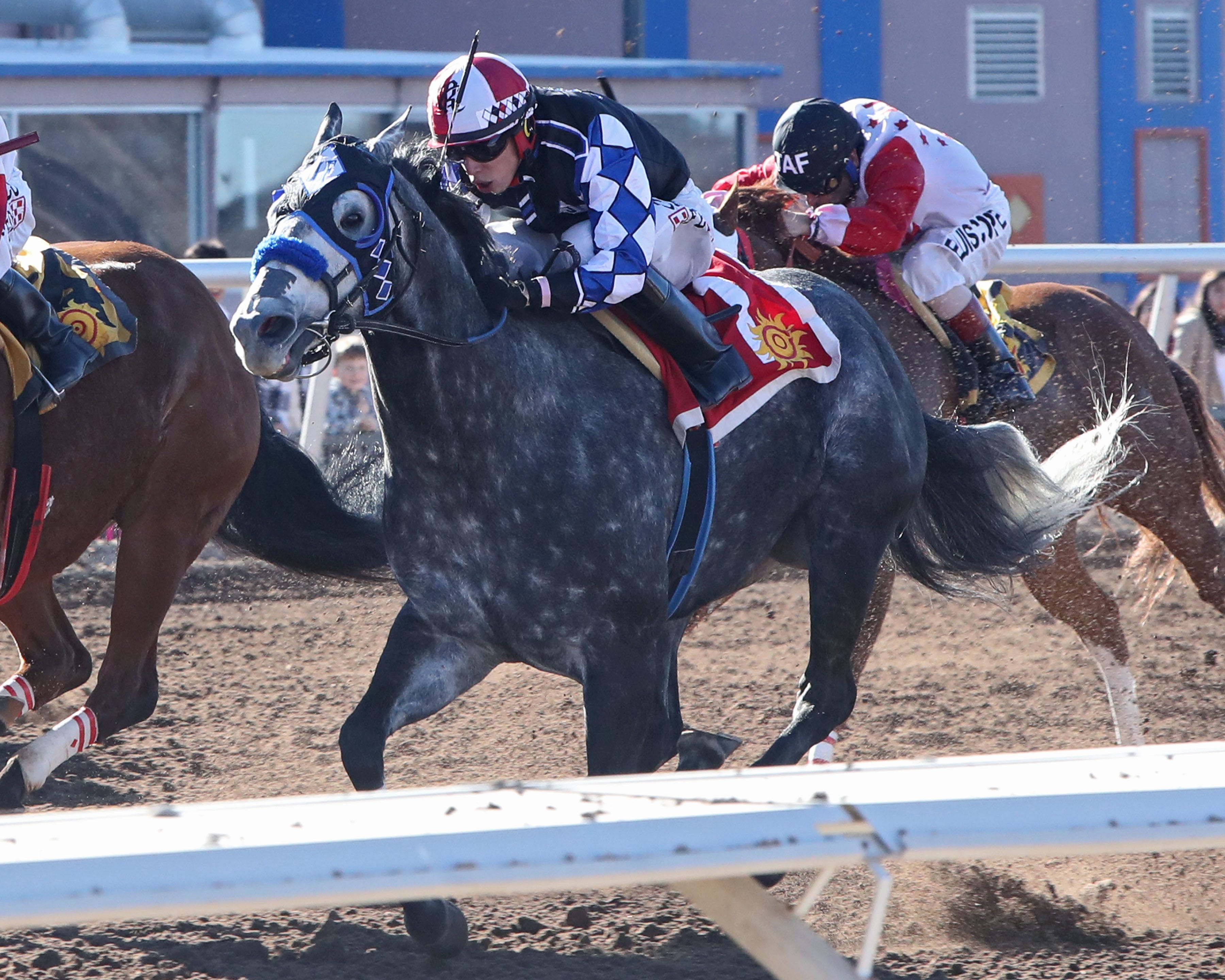 Shakers No Secret leads strong field in Vessels Maturity