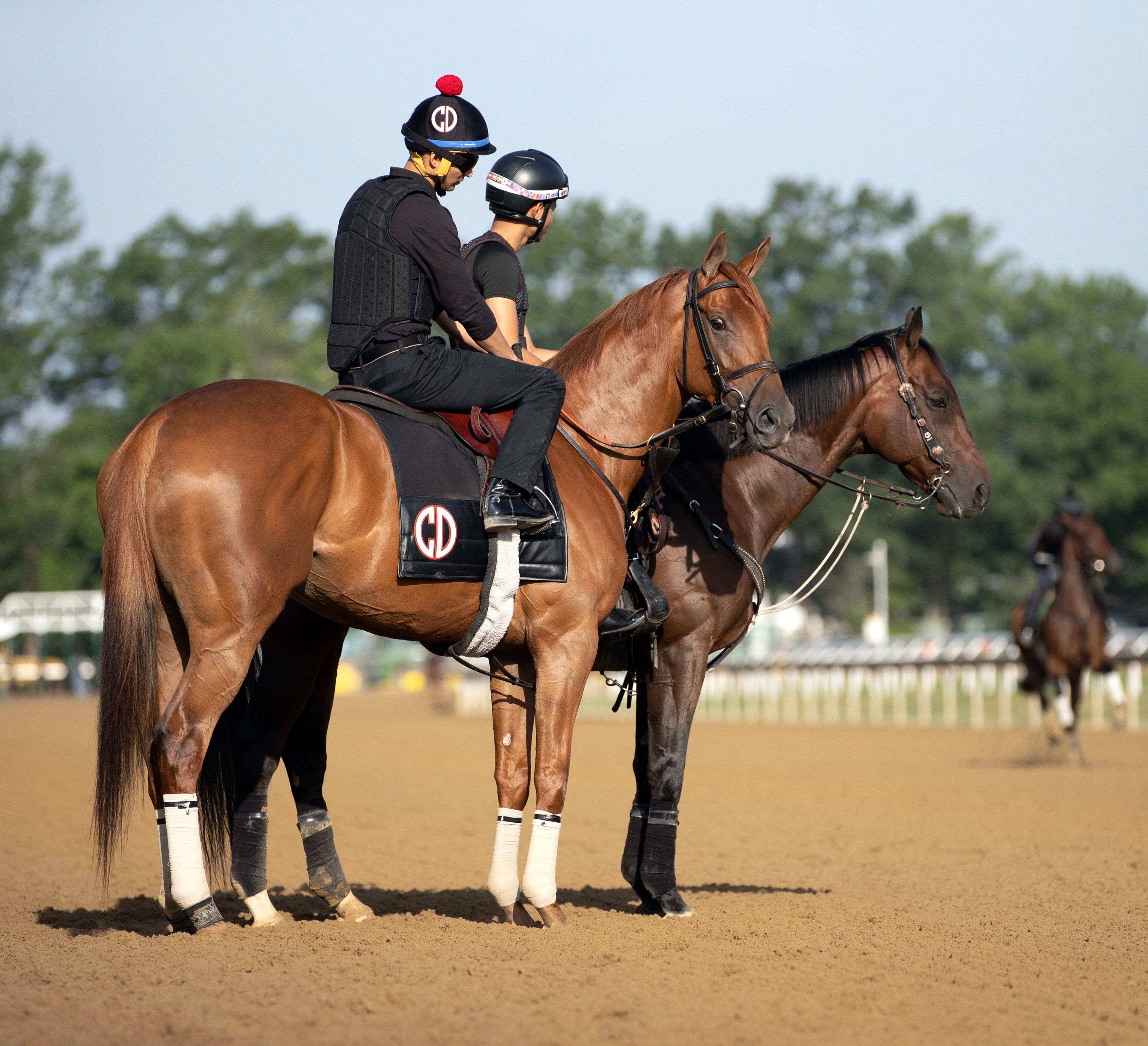 She Feels Pretty taking on tough Brown duo in Diana