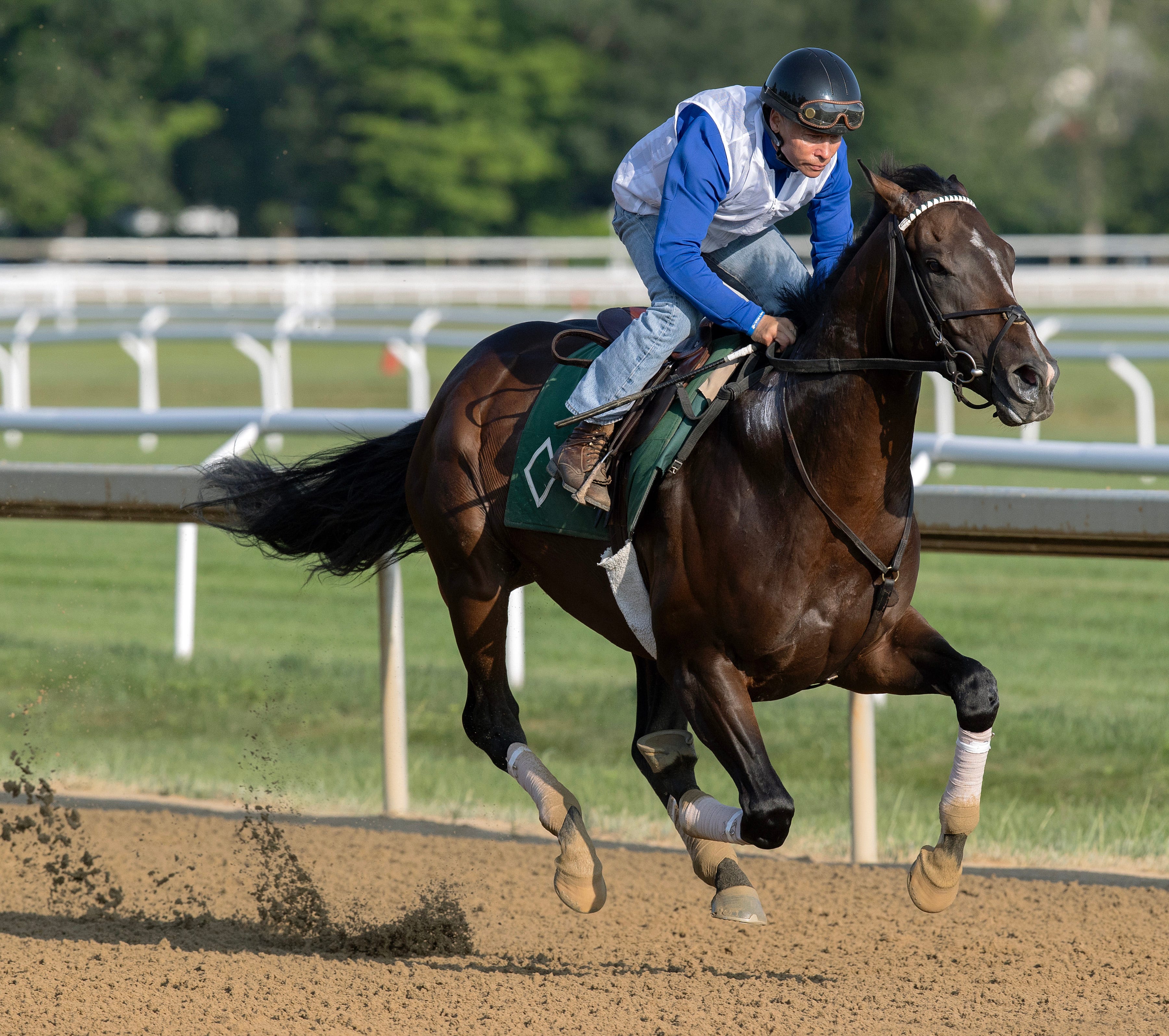 Sovereignty works alone in final prep for Jim Dandy