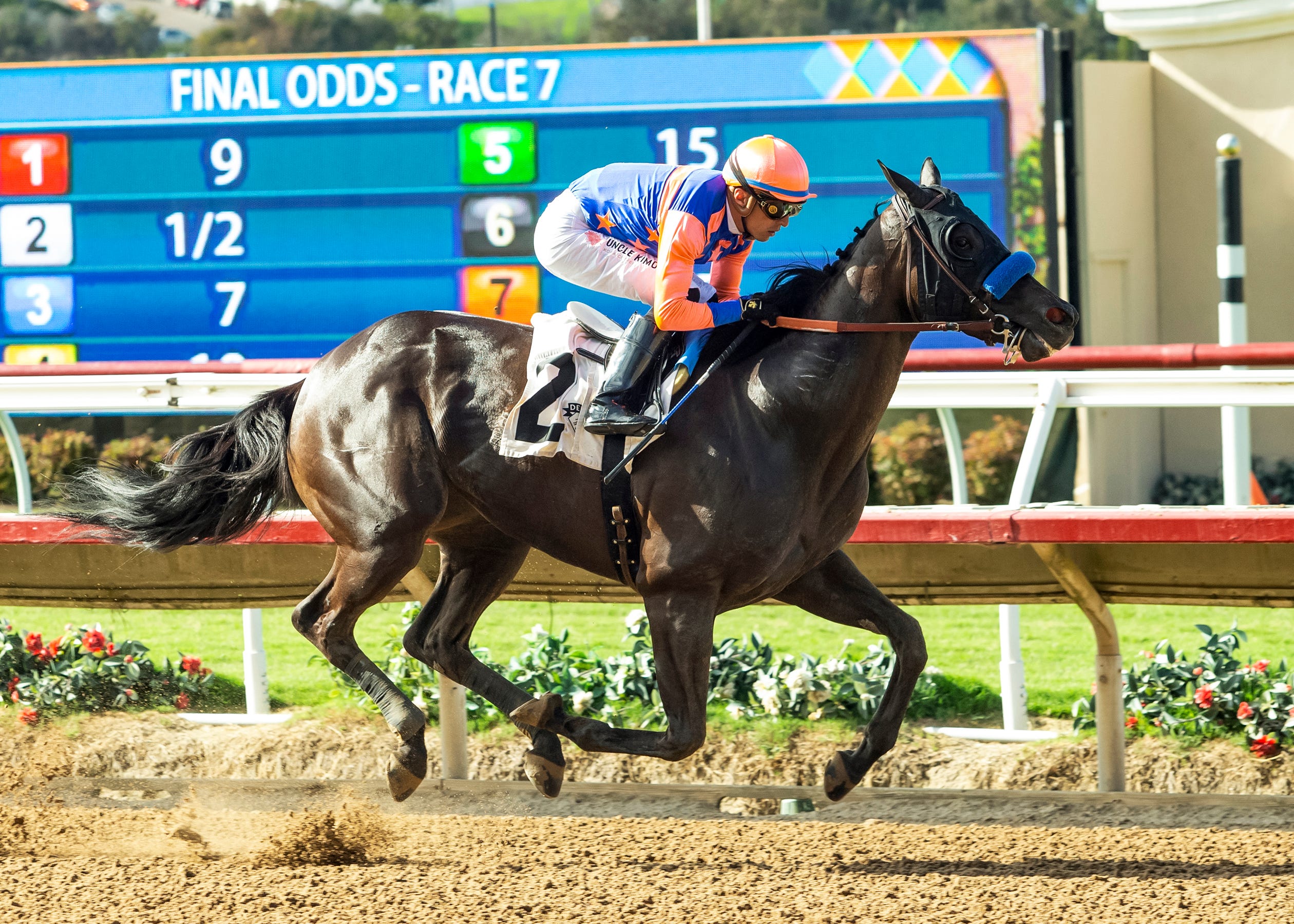 Splendora gets back on track with easy win