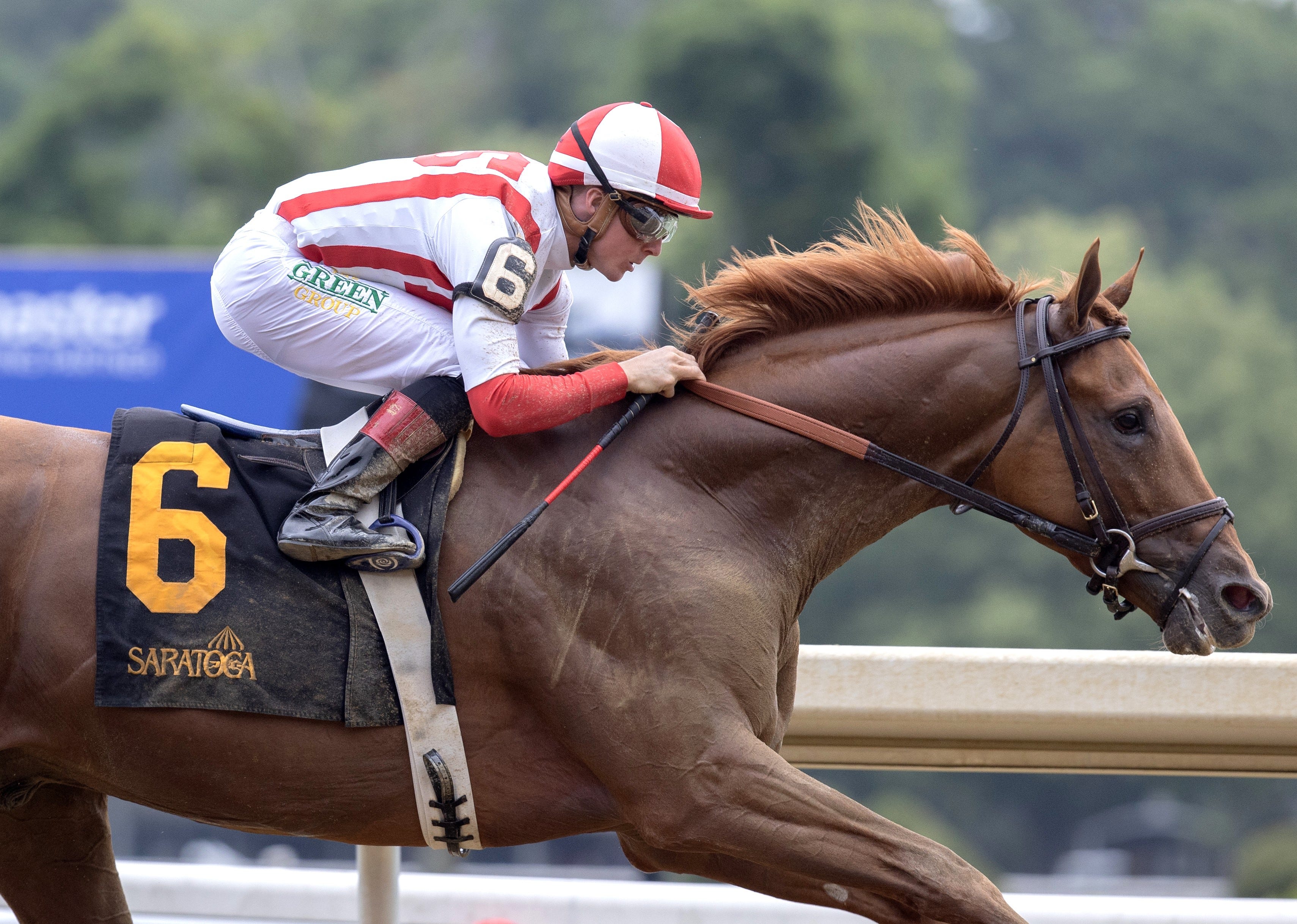 Lightly raced Strategic Focus clear favorite in Curlin