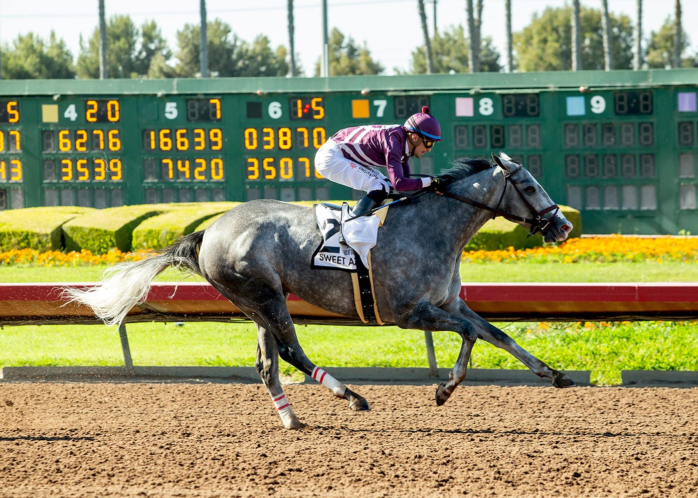 Sweet Azteca leads all the way in Great Lady M.