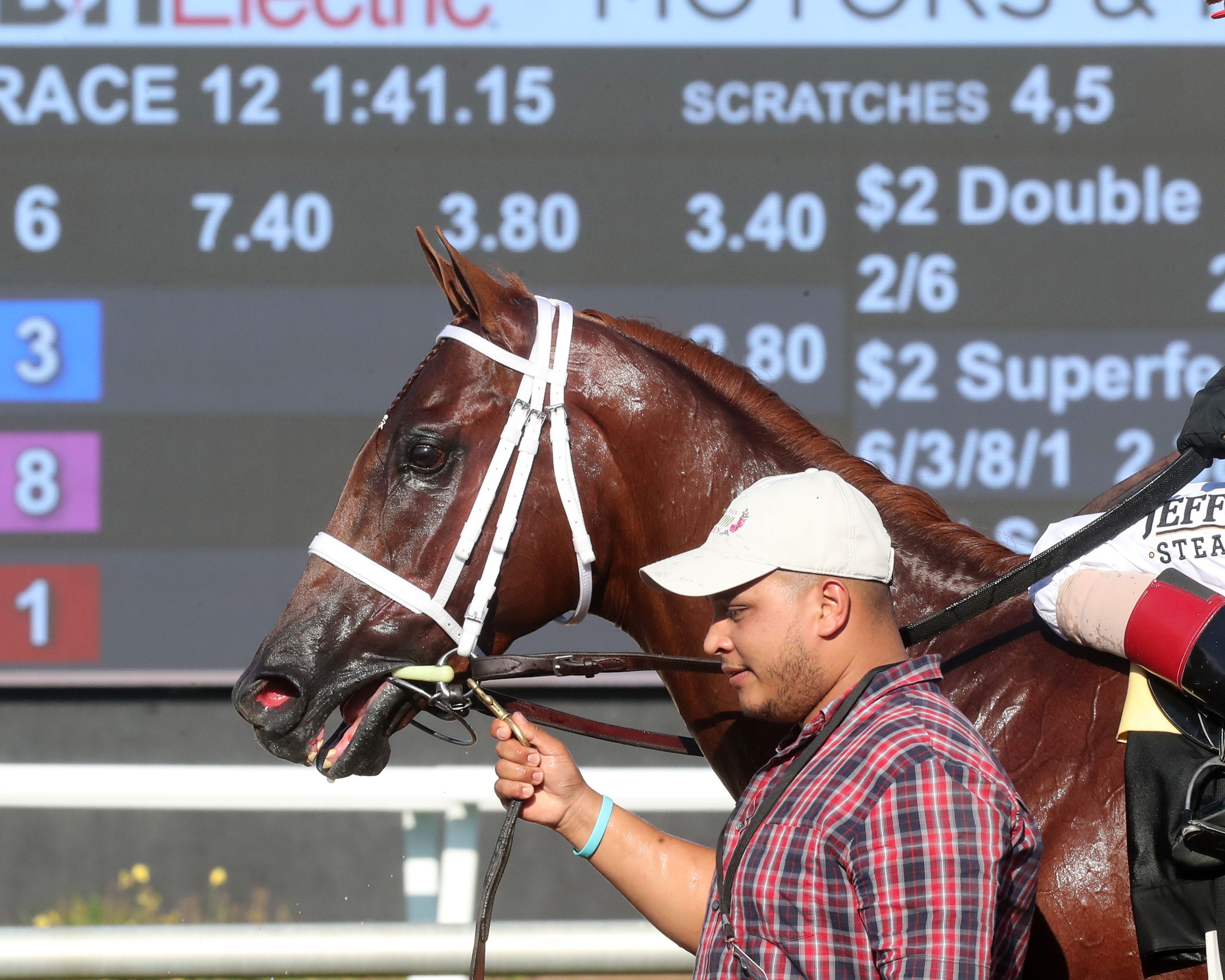 Tip Top Thomas not a Travers horse, Pletcher says