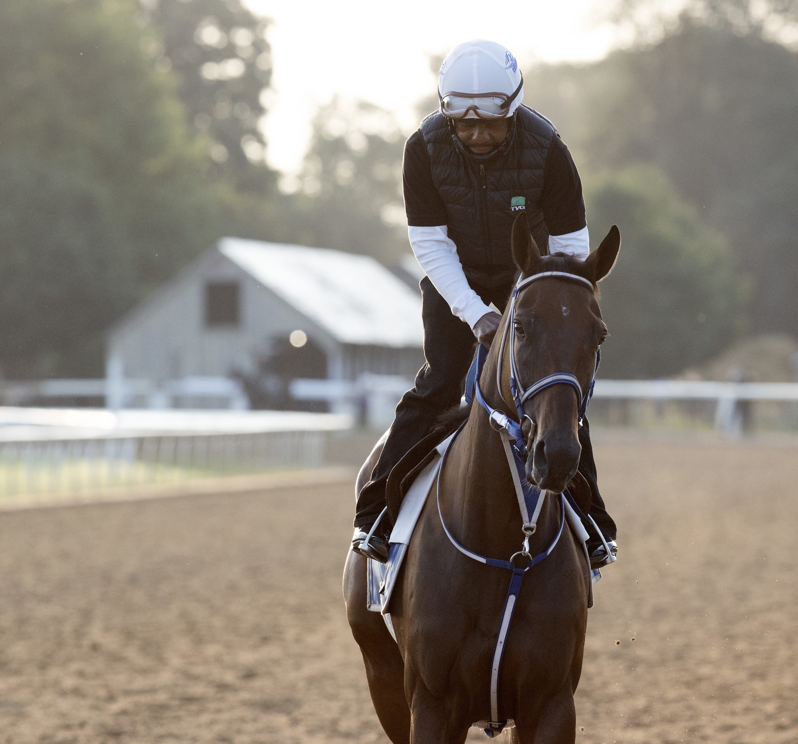 Thorpedo Anna has first work since Fleur de Lis win with Personal ...