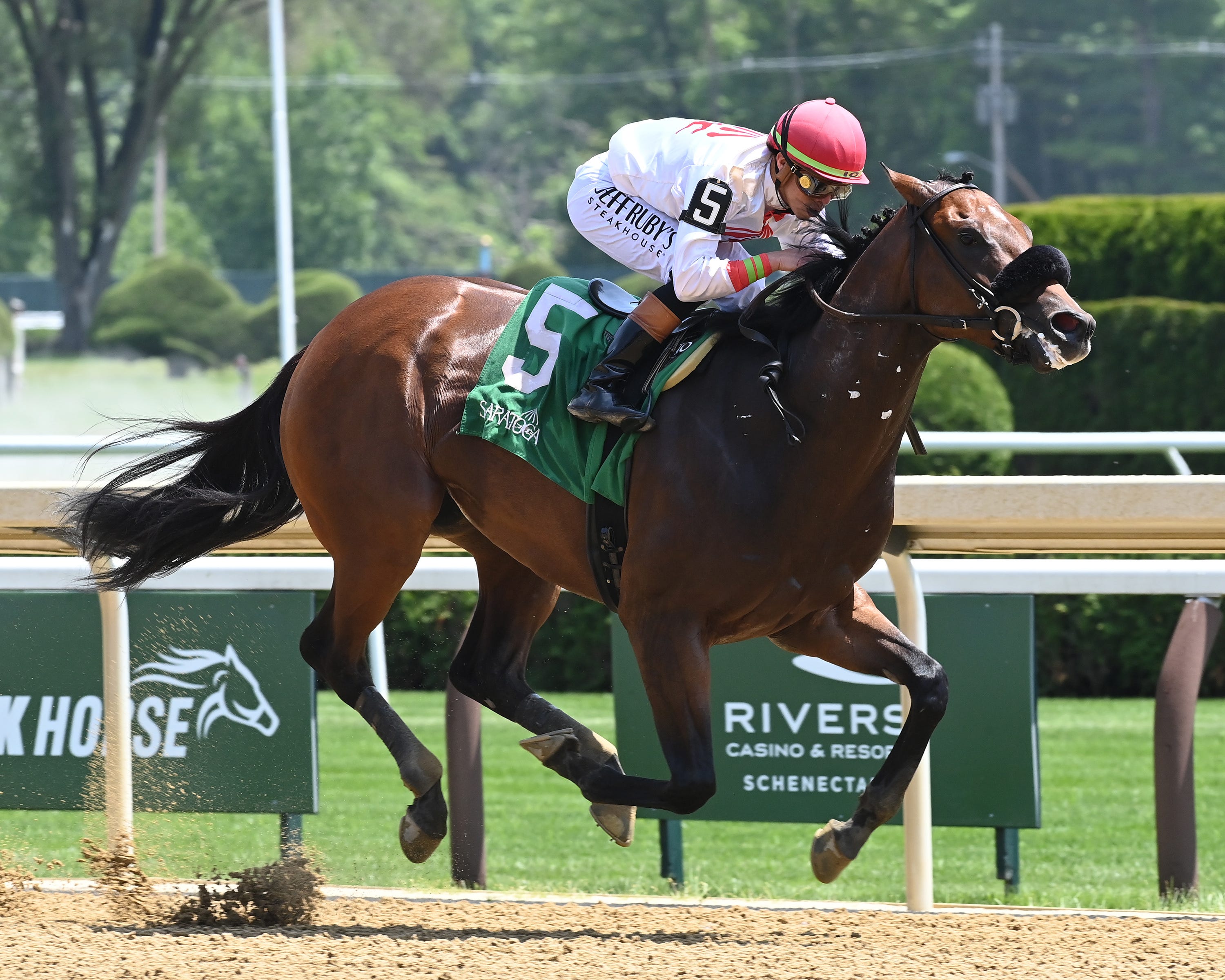 Train the Trainer hopes to keep rolling in New York Derby