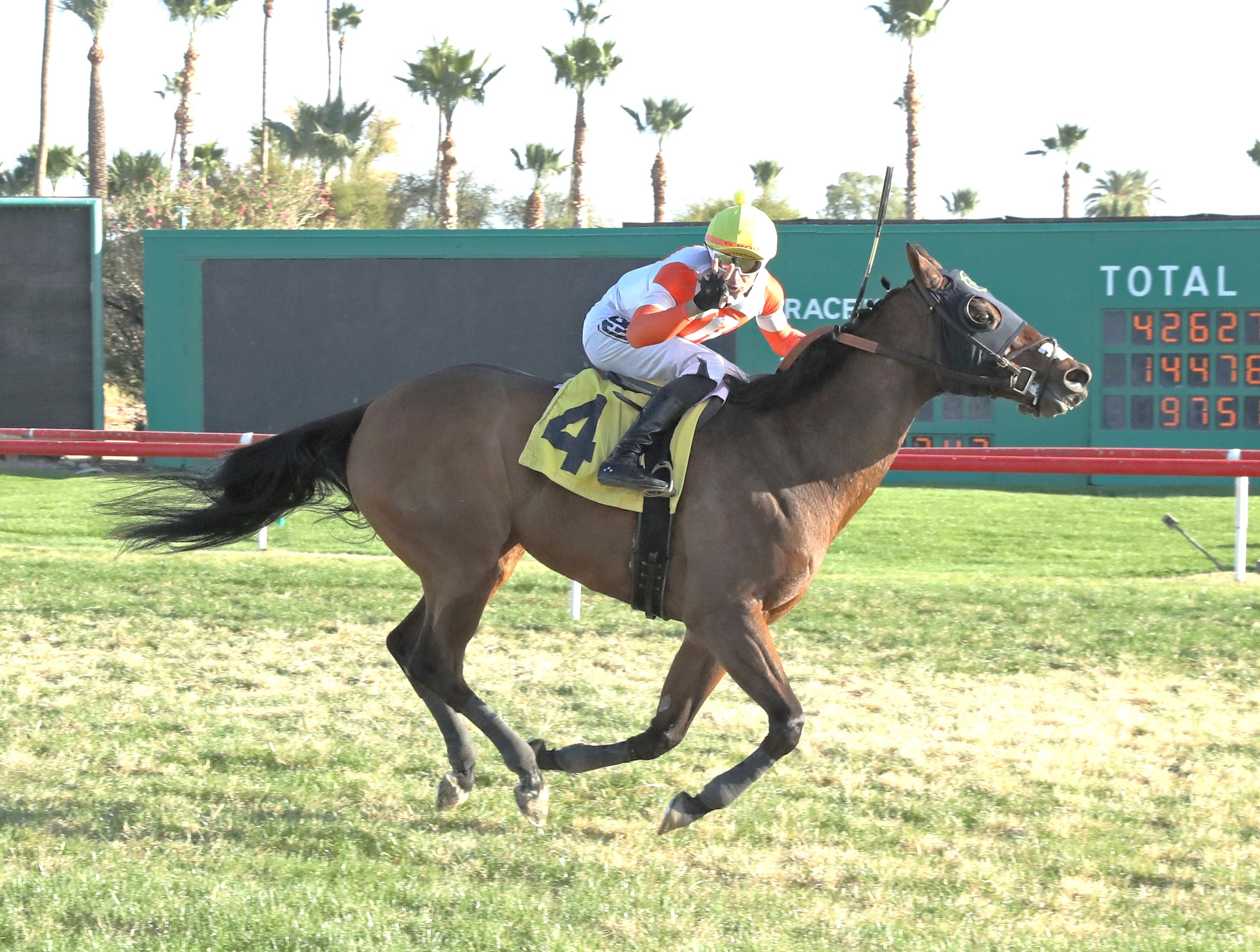 At 10, War Chest still battling