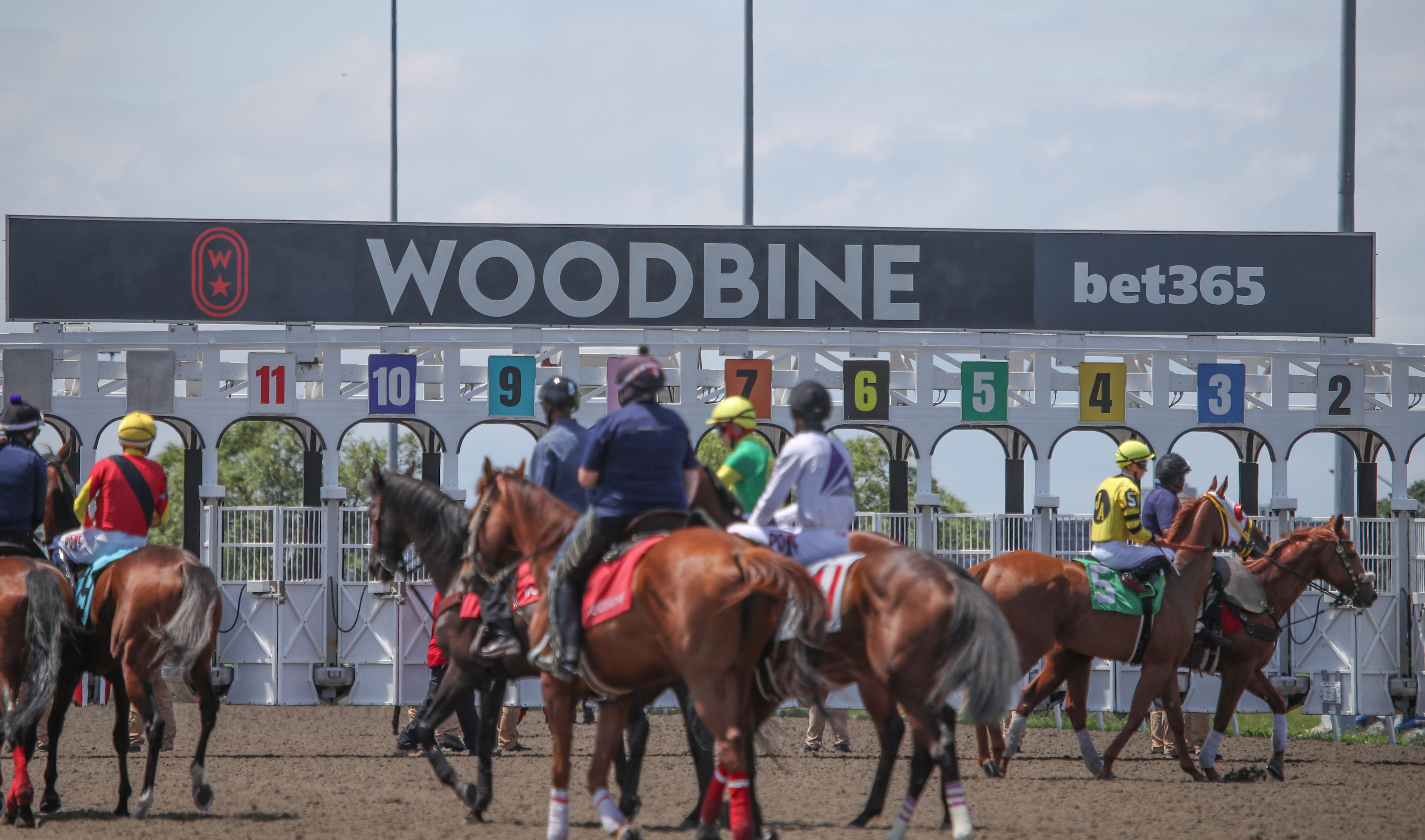 Pageant Queen moves up into My Dear off upset maiden win