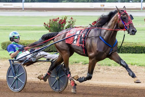 Red Mile: Favorites reign in Monday's Kentucky Championship Series events