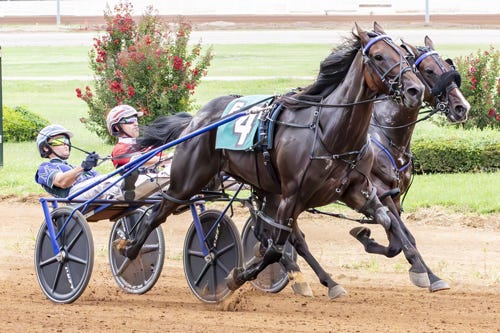 Red Mile: A "great eight" for Women Layer in Kentucky Sire Stakes