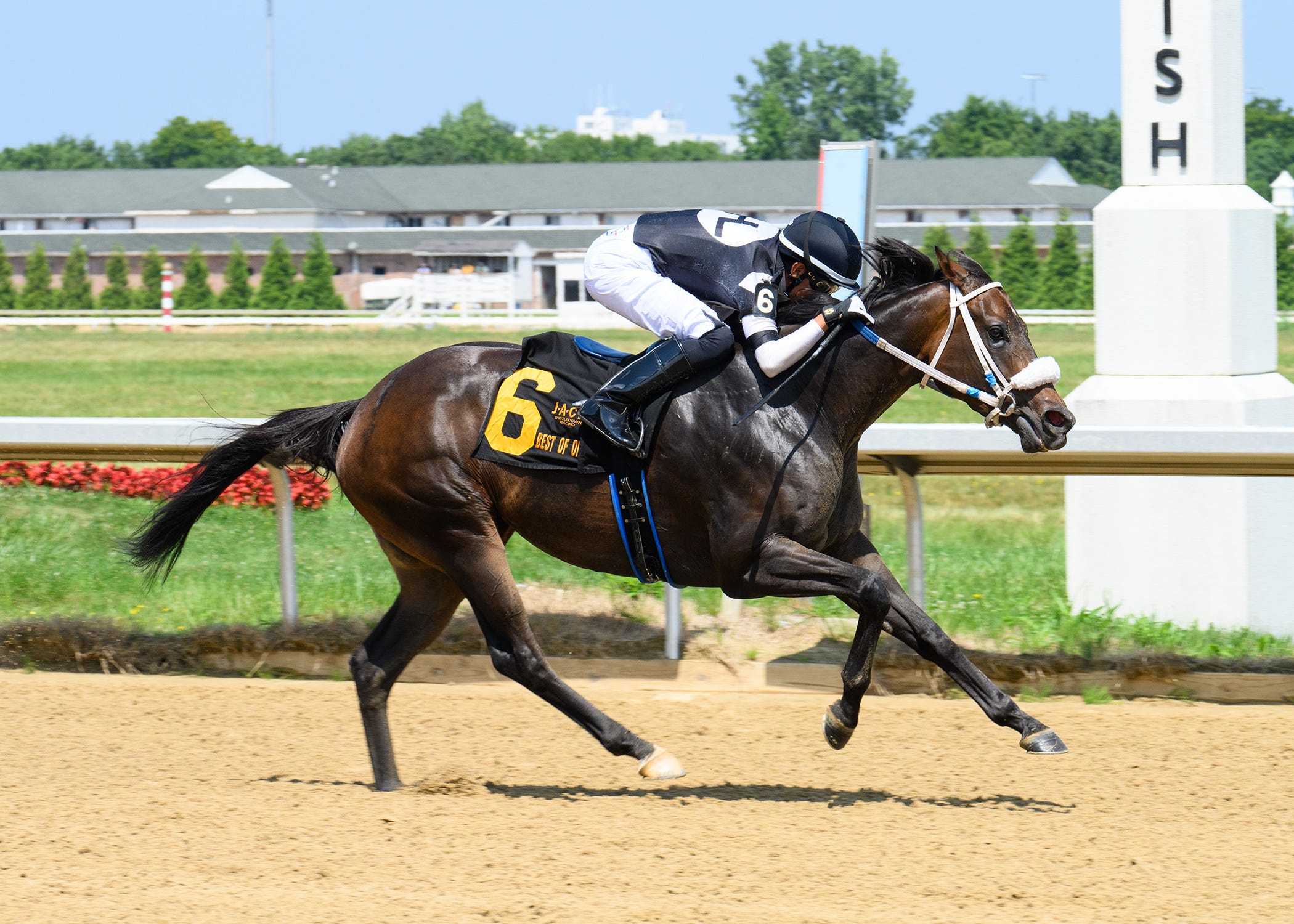 Silent Rule stays perfect with Honey Jay win