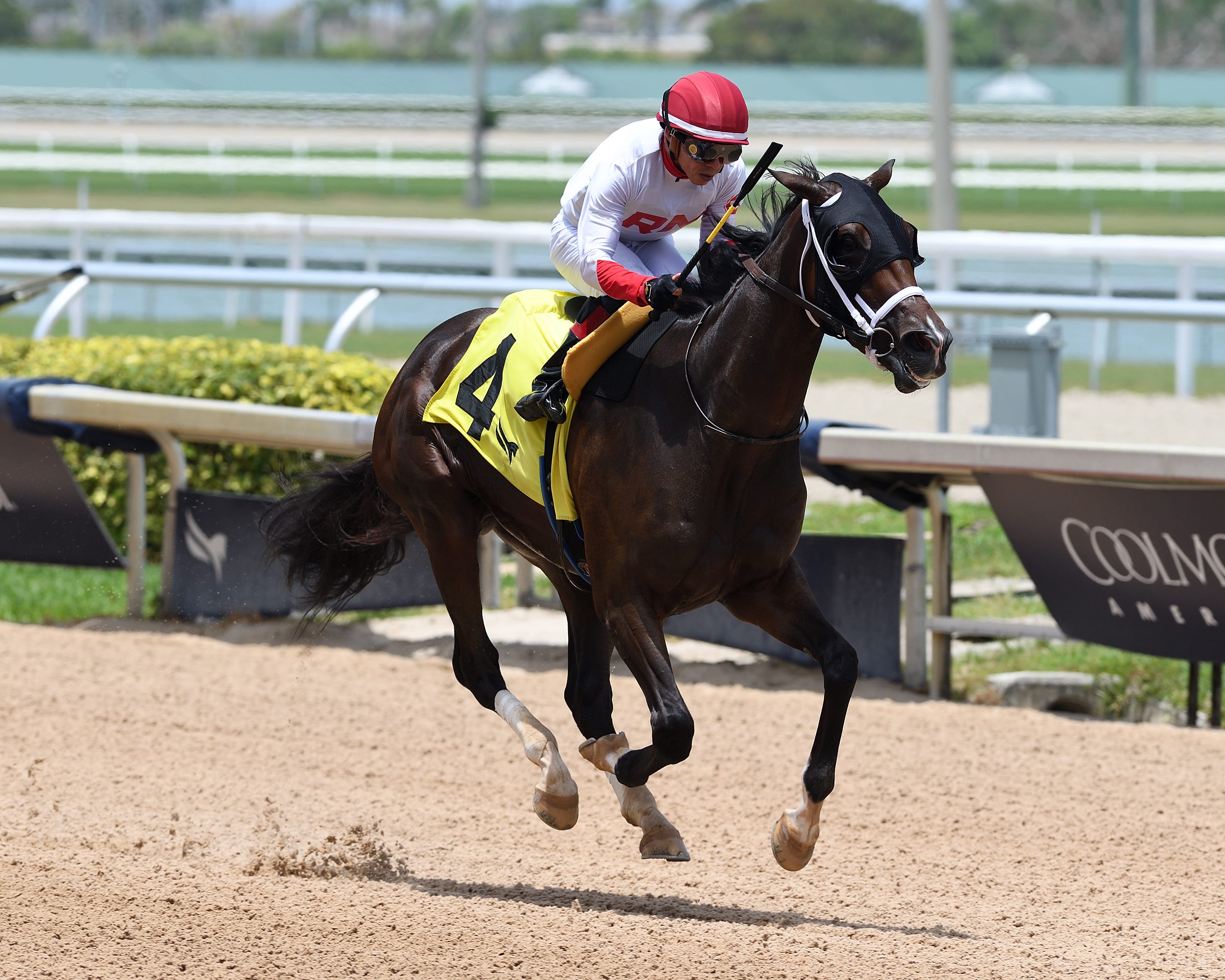 D'Angelo hoping Aless Queen can finally get some racing luck