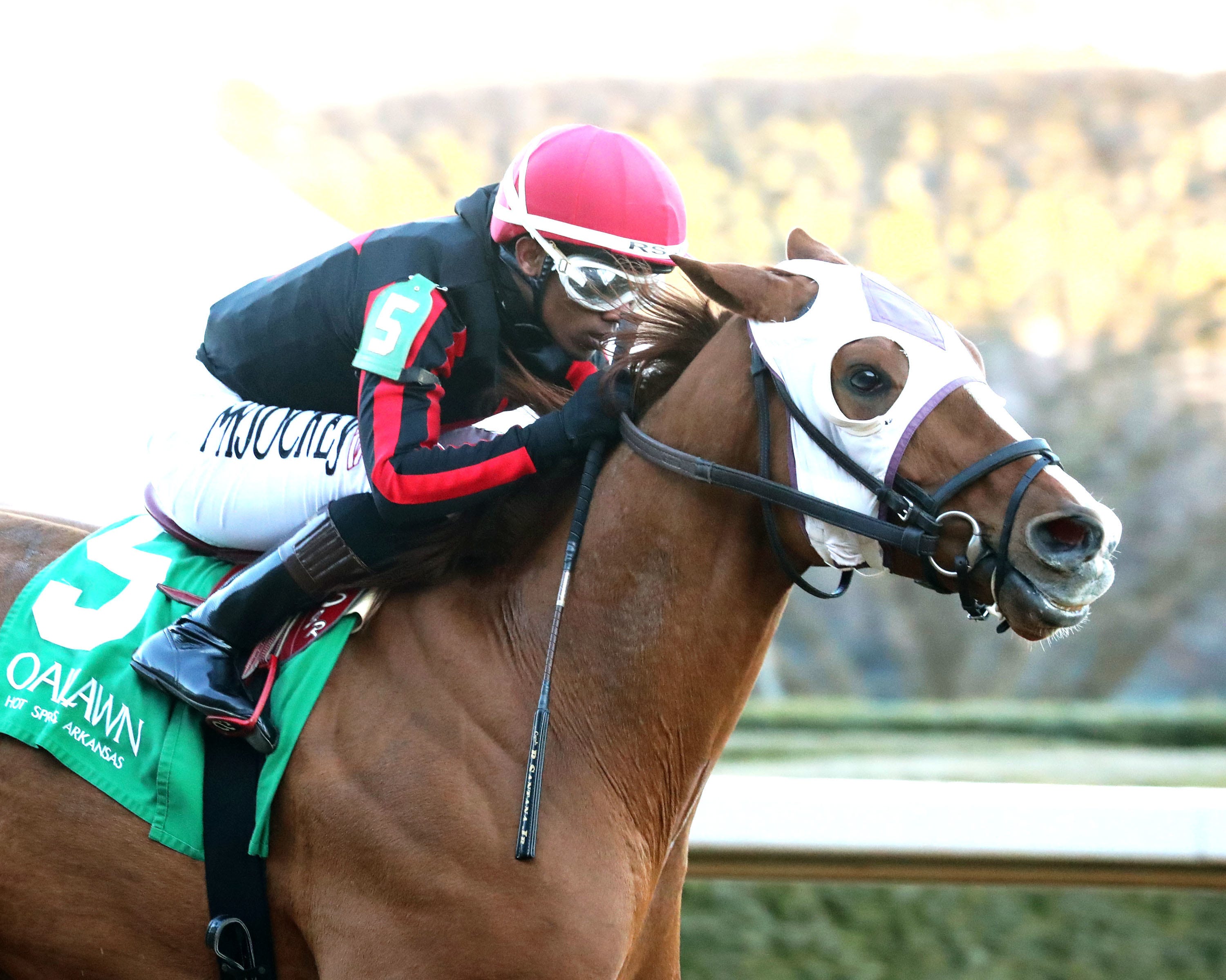 Banishing's status the key to R.A. Cowboy Jones