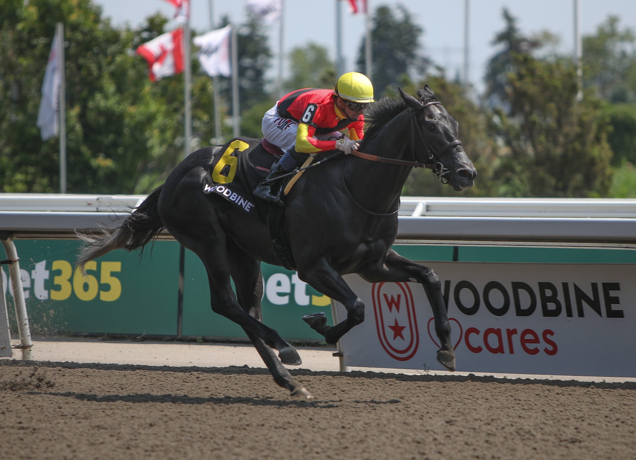 Two Out Hero should have no problem on turf in Soaring Free