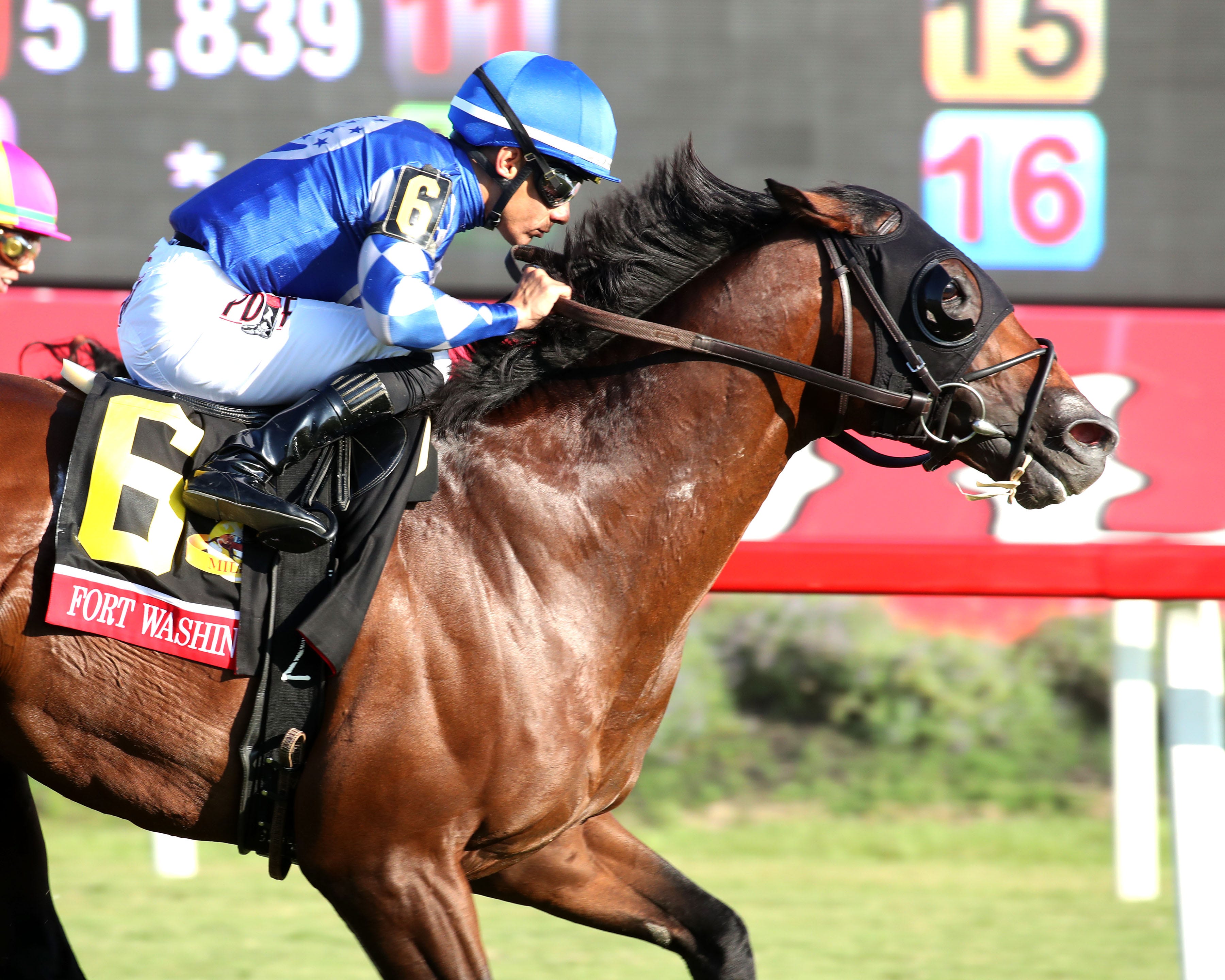 Alvarado continues banner year with Arlington Million win aboard Fort ...