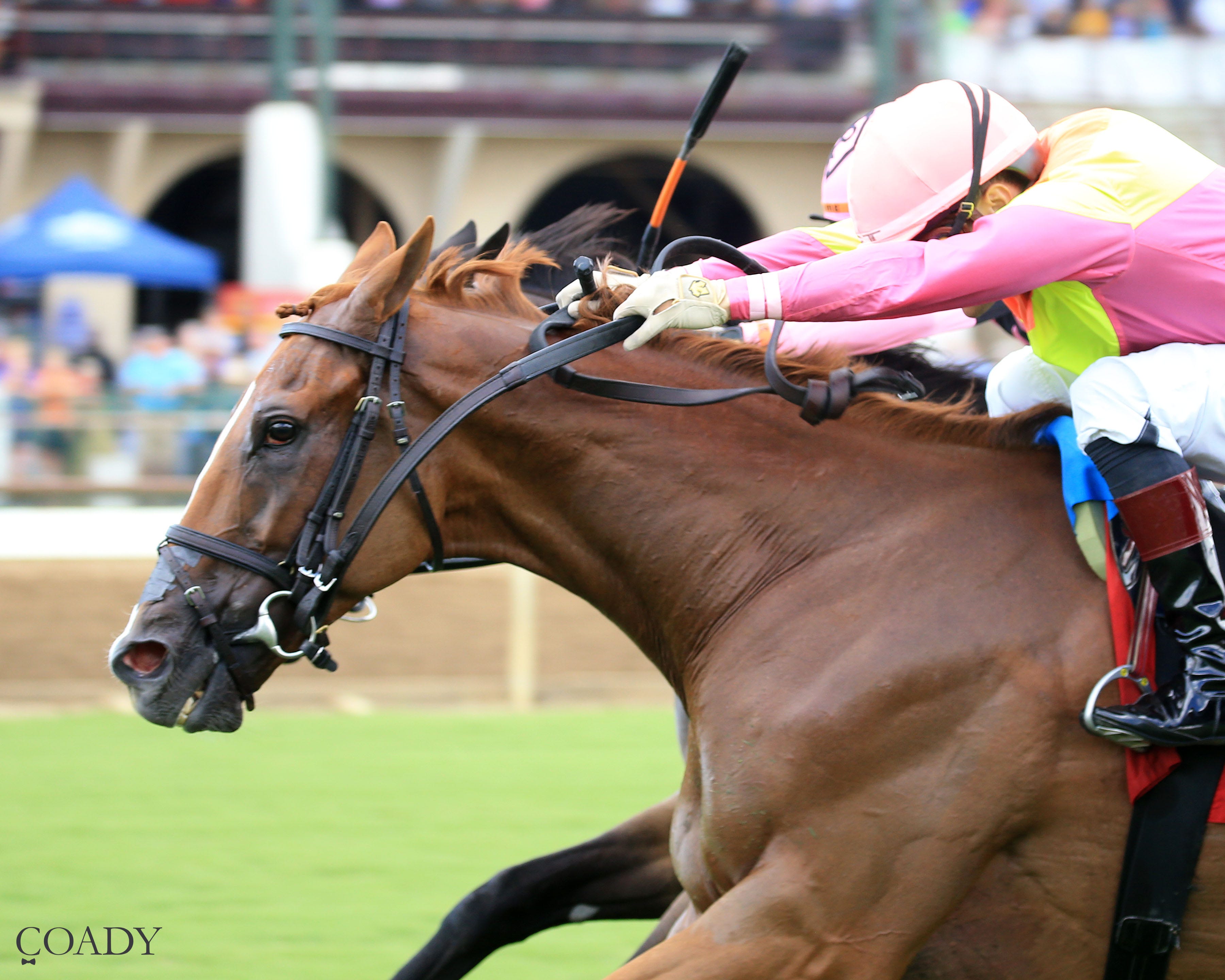 Highway Robber goes last to first in Kentucky Turf Cup Preview