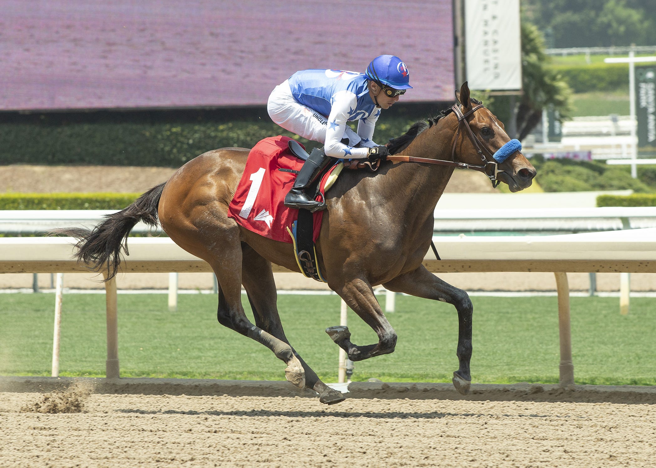 Himika leads group of maiden winners for Sorrento Stakes