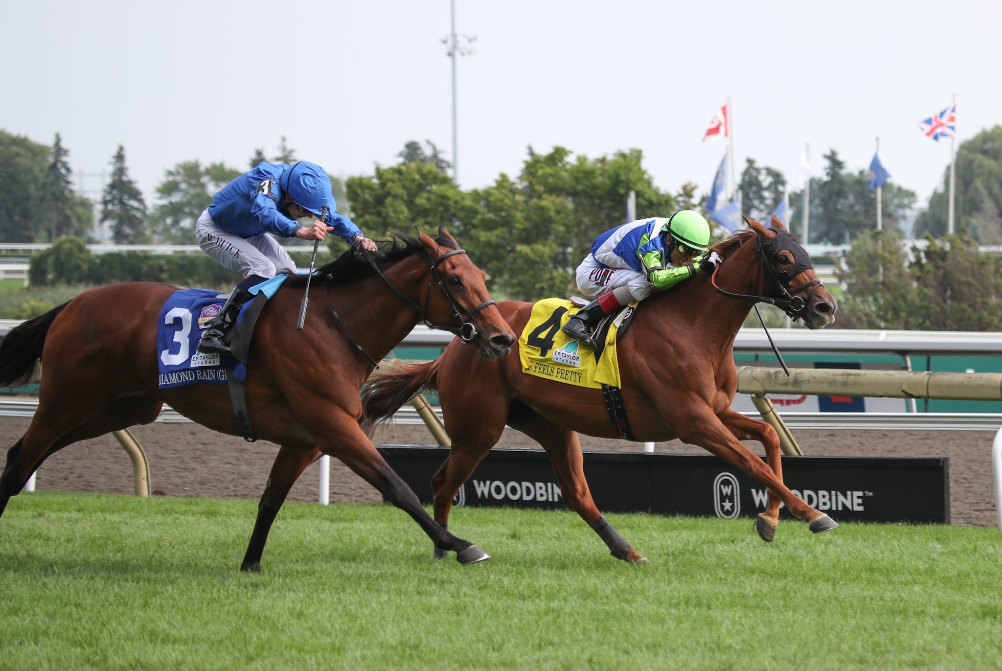 She Feels Pretty hangs on to take E.P. Taylor; punches ticket to ...