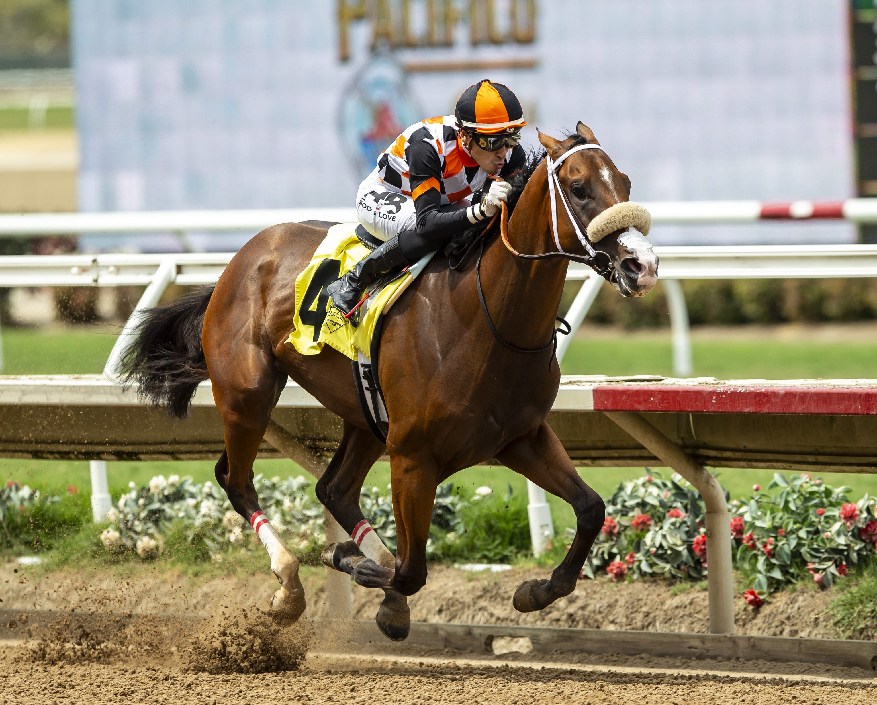 Intrepido impresses in maiden race