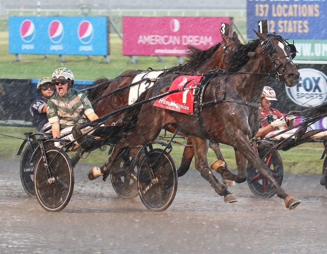 Harness: Karl to stand first season at stud in 2026