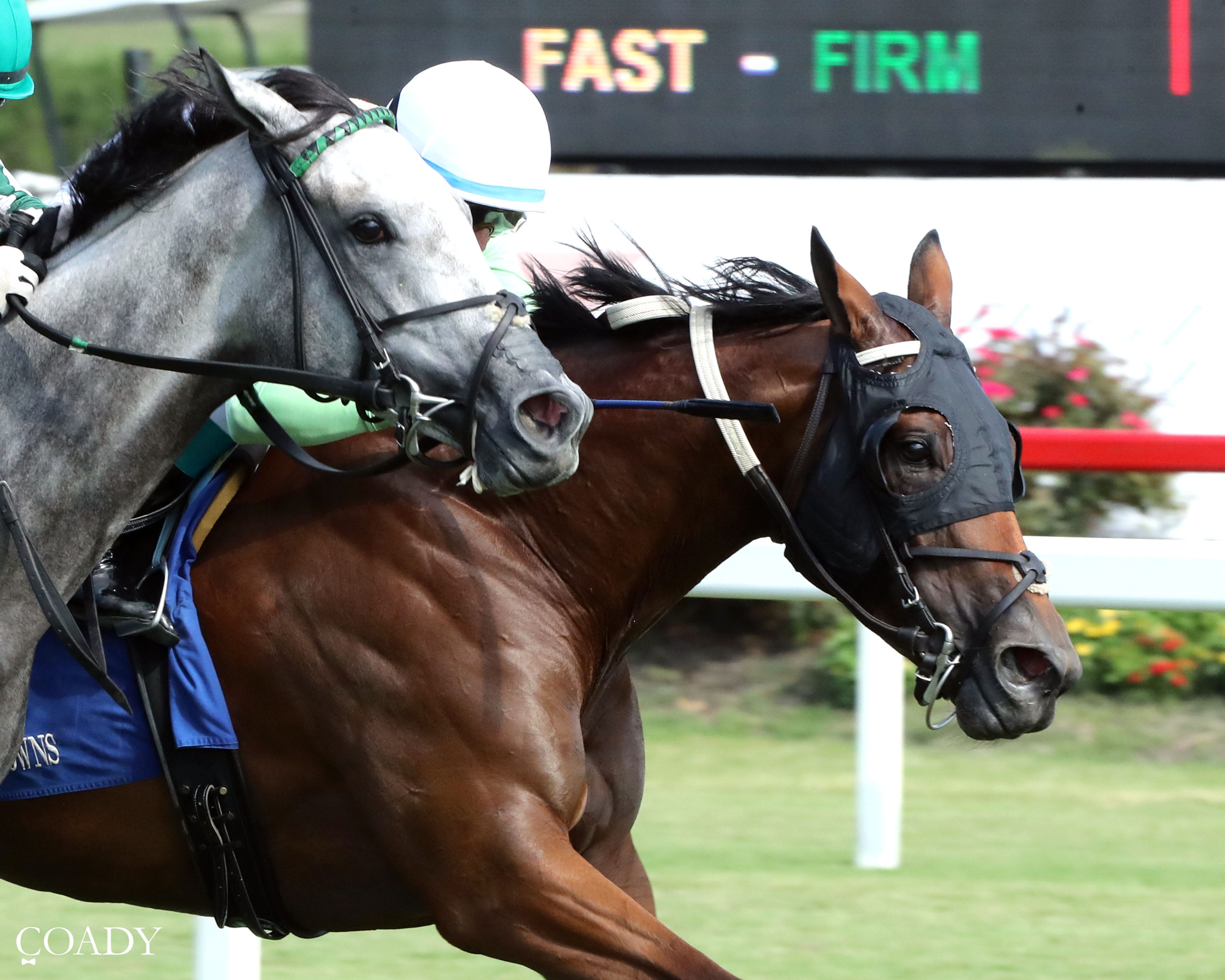 Lifelovenlaughter holds off Winfinity in All Brandy