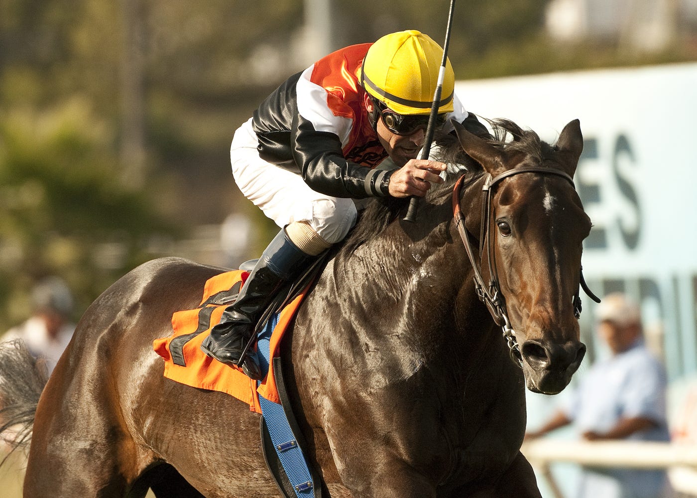 Dalos, Ghostzapper, Doyle join Canadian Hall of Fame