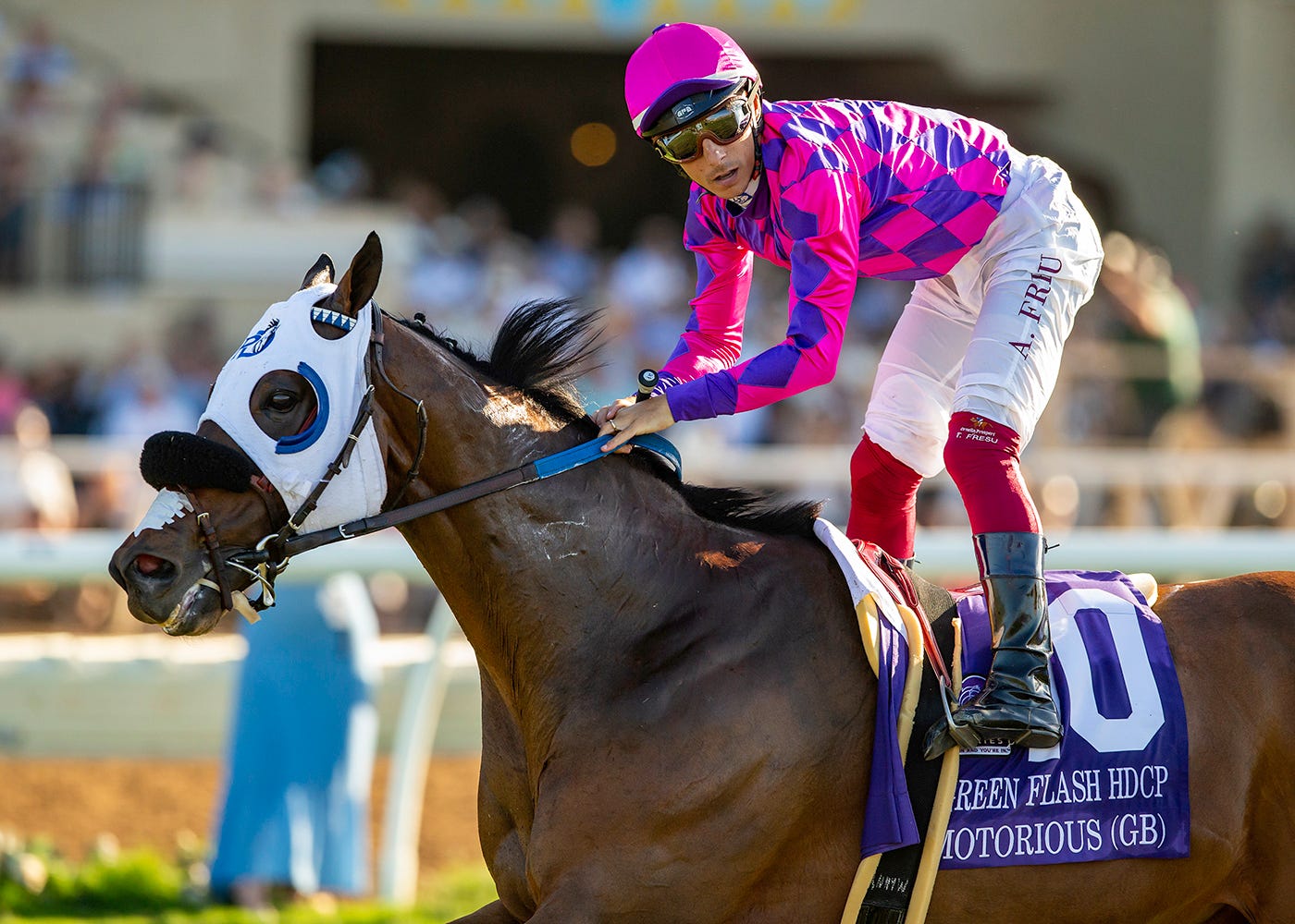 Brad Free's Santa Anita Horses to Watch for the week of Dec. 28-29, 2025