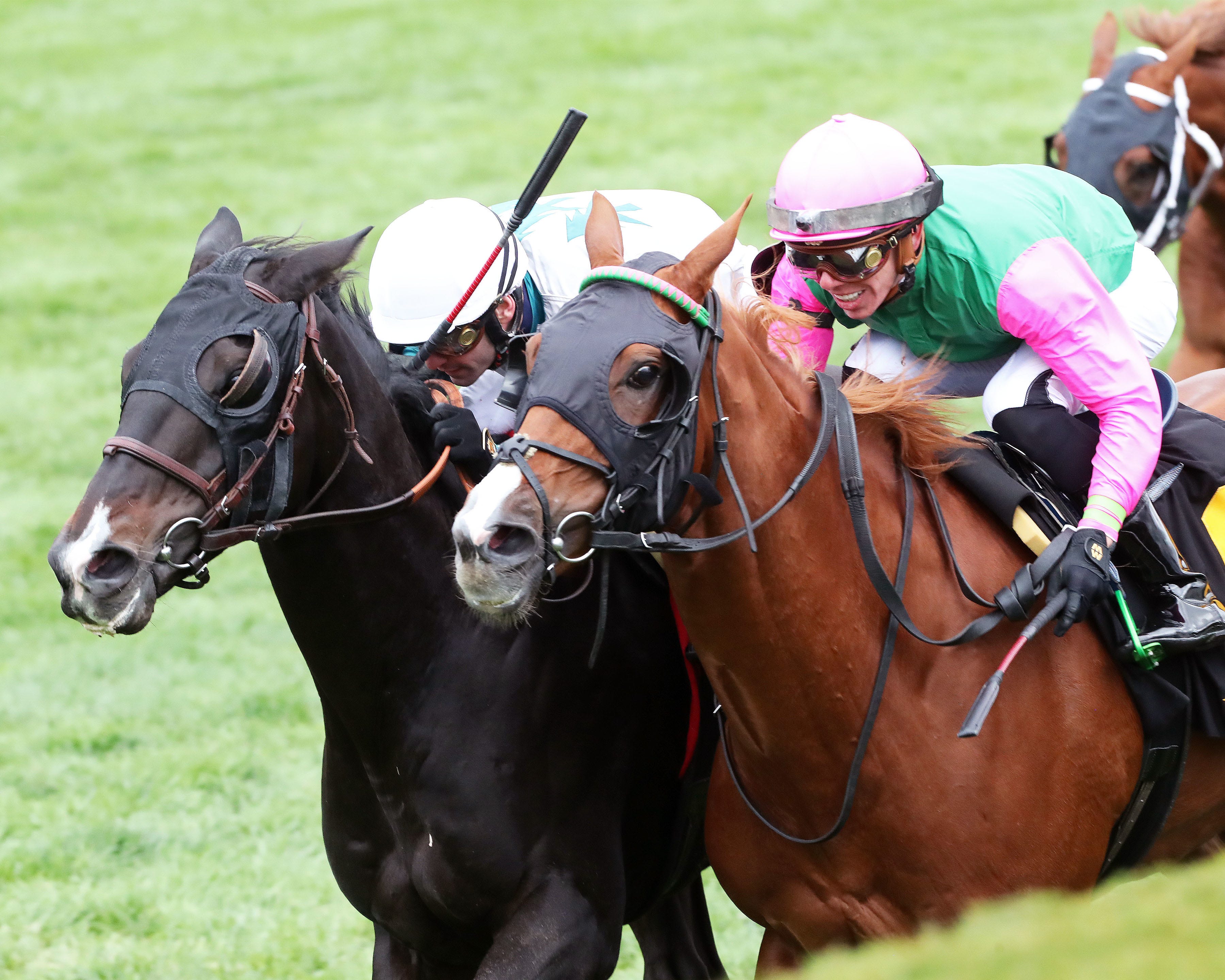 Full fields, fat purses intact as meet opens