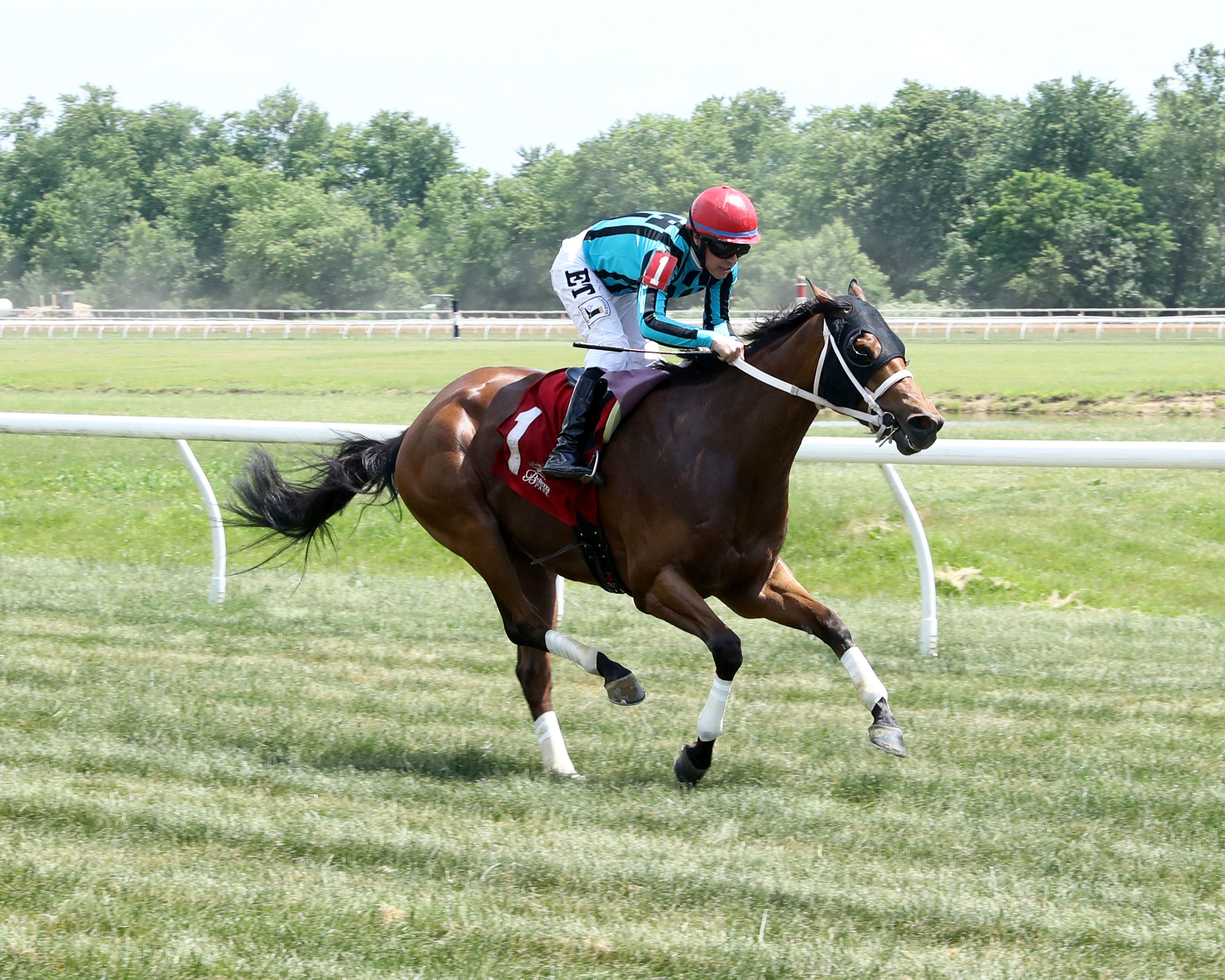Trio of allowance races, intriguing maiden race highlight card
