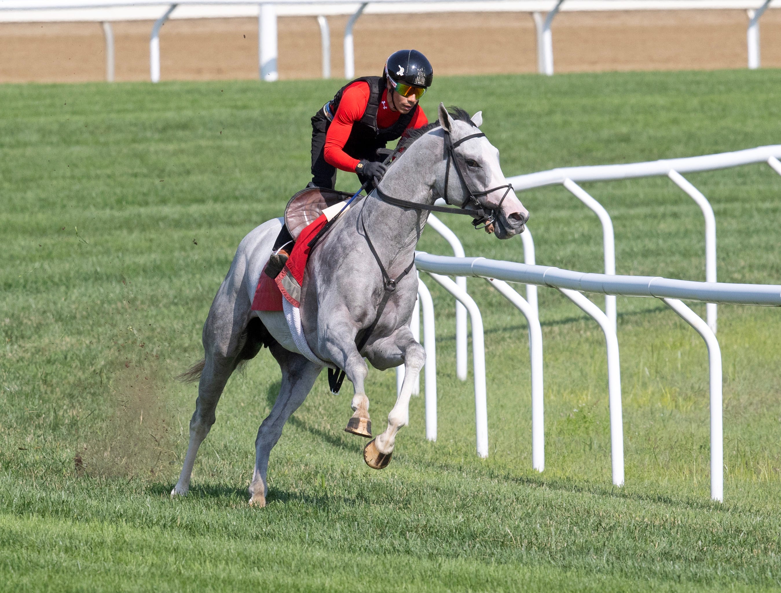 Sandman's likely next start on turf, in Nashville Derby, Casse says