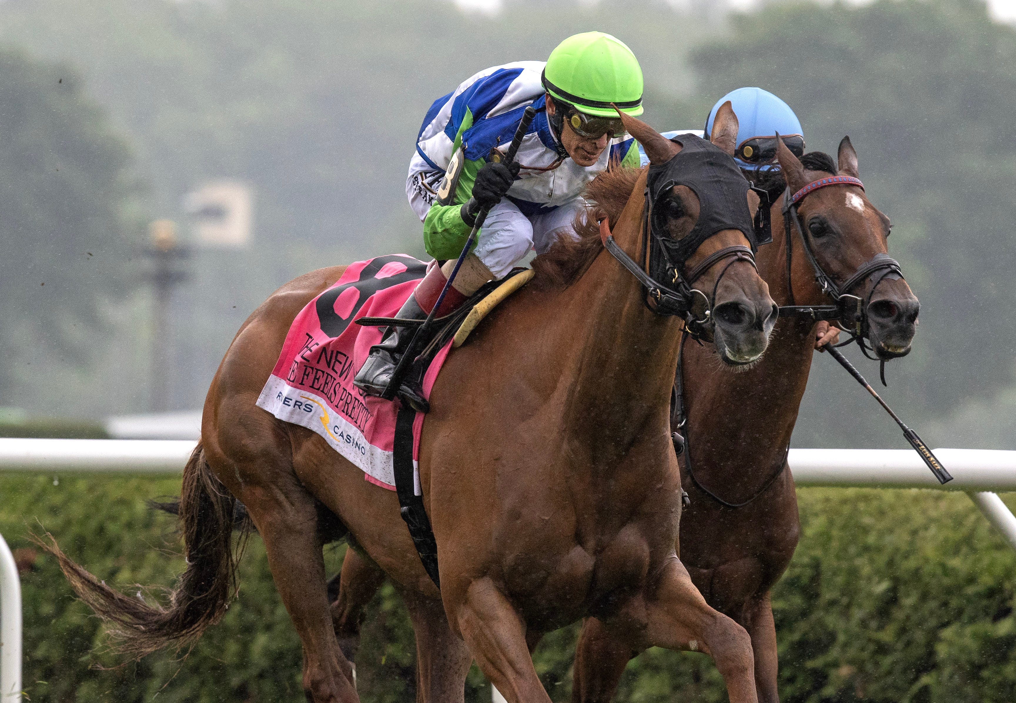 She Feels Pretty odds-on in E.P. Taylor