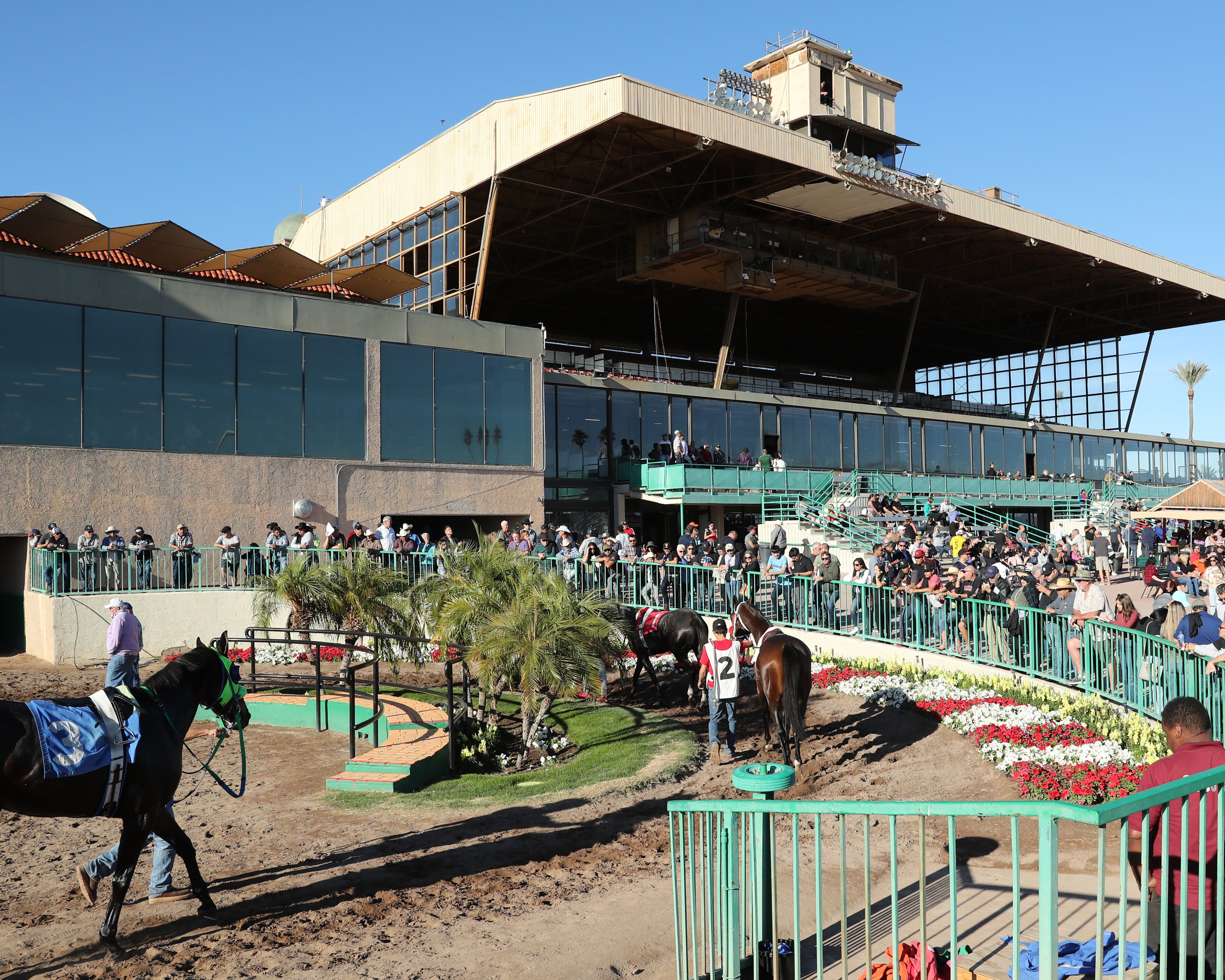 Turf Paradise cancels fourth straight card