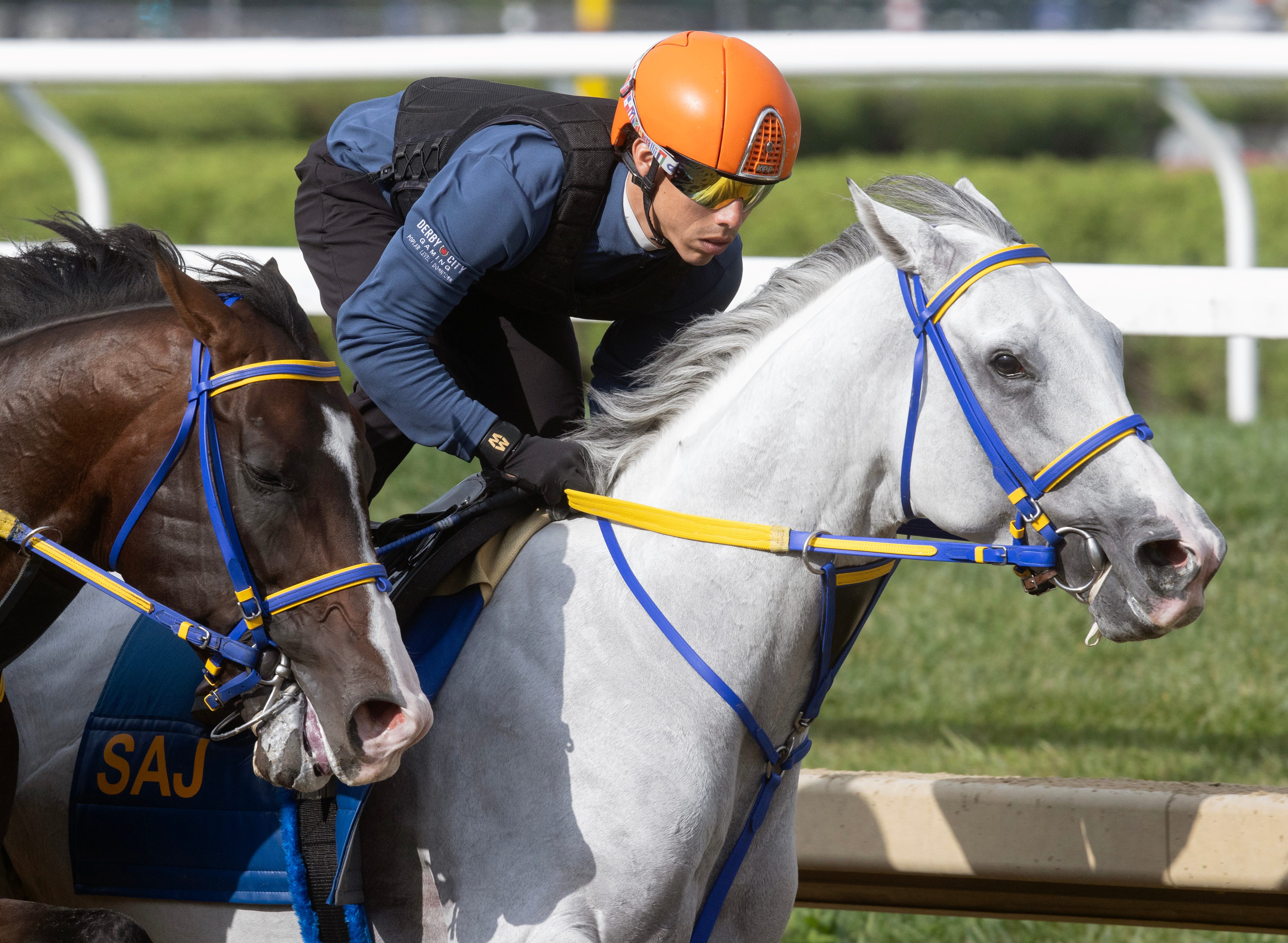 White Abarrio's next race not finalized