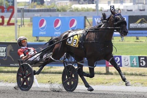 Meadowlands: Miki And Minnie overpowers rivals in Shady Daisy