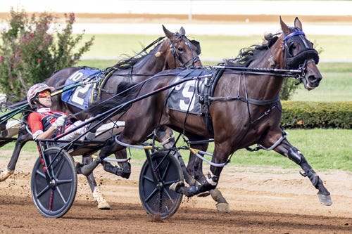 Red Mile: Miki And Minnie, Go Dog Go win in Kentucky Championship Series