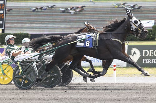 Harrah's Hoosier Park: M-M's Dream, On To Norway pursue Indiana Sire ...