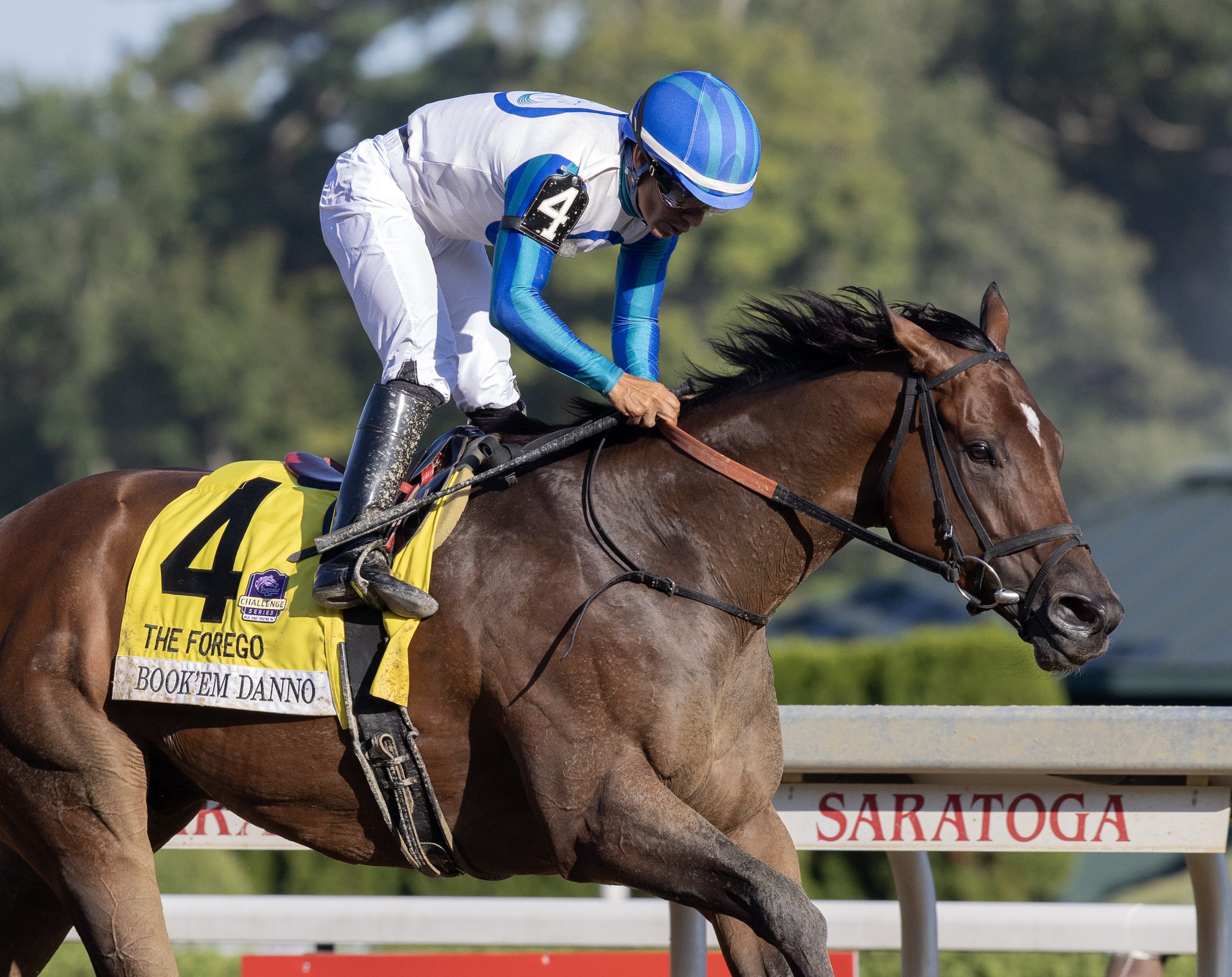 Ryan nearing decision on Book'em Danno's next start