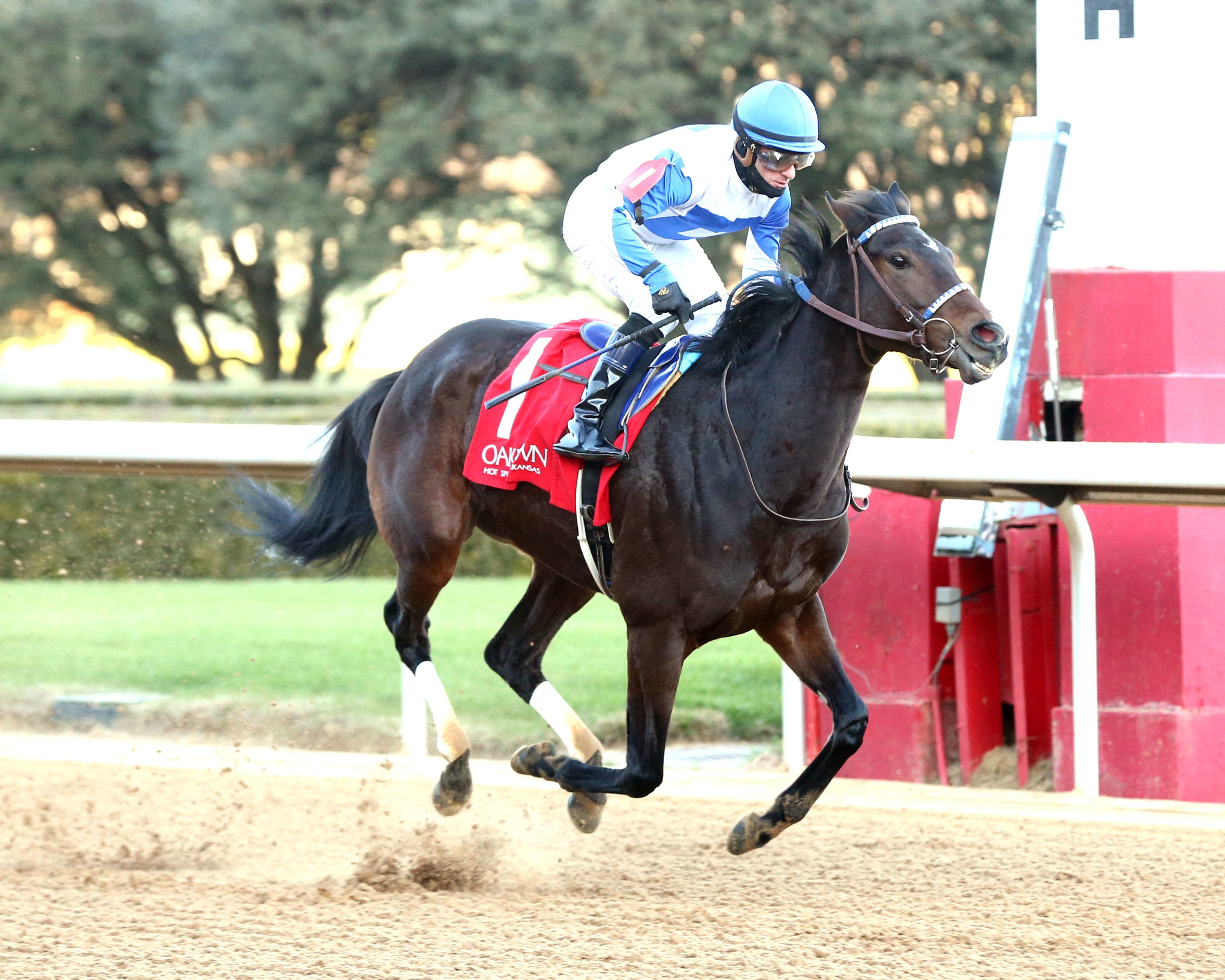 Corningstone aims to avenge last year's short-priced loss in Piedi Bianchi