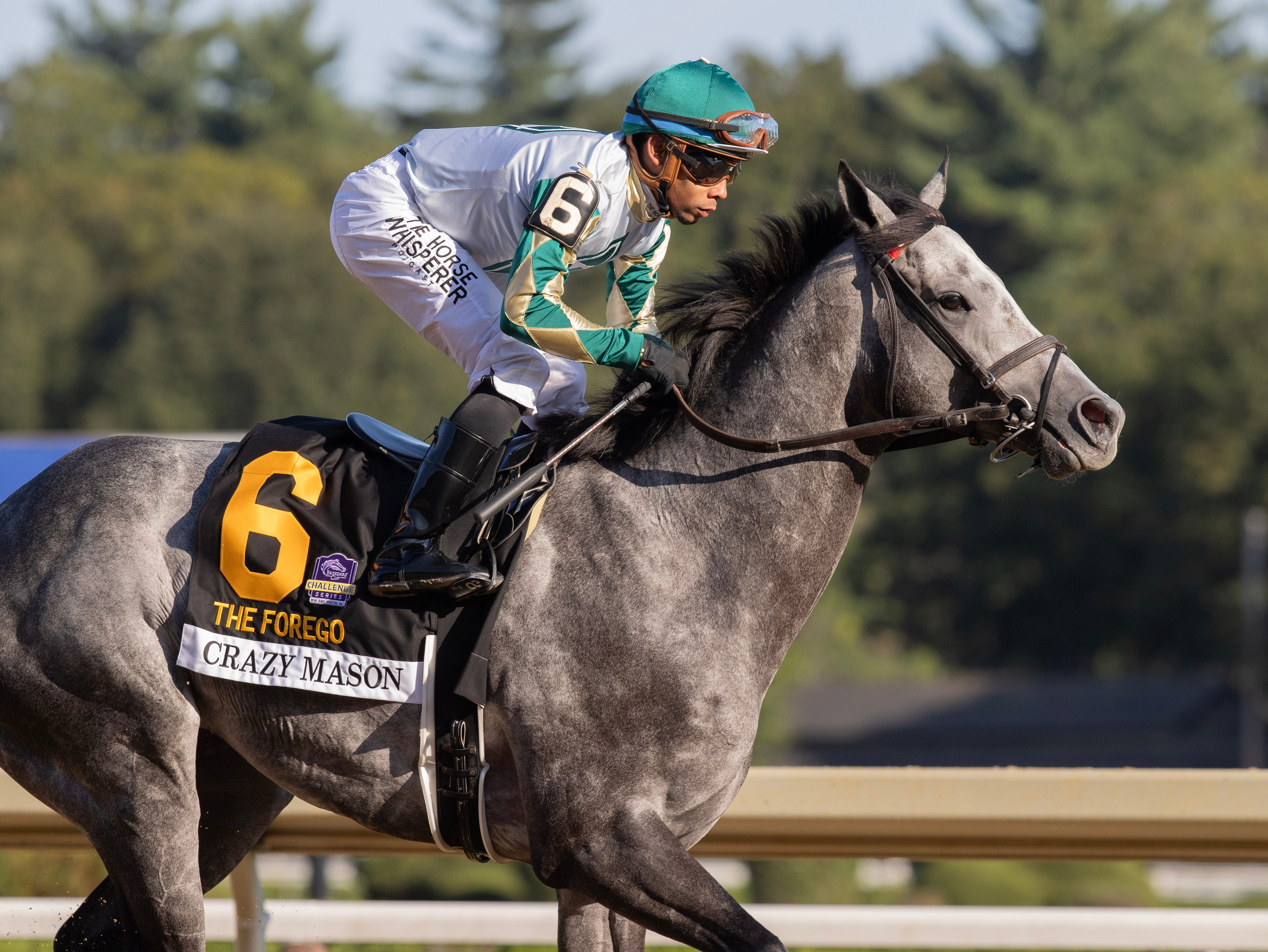 Campbell thinks he's found ideal spot for Patriot Spirit in Vosburgh