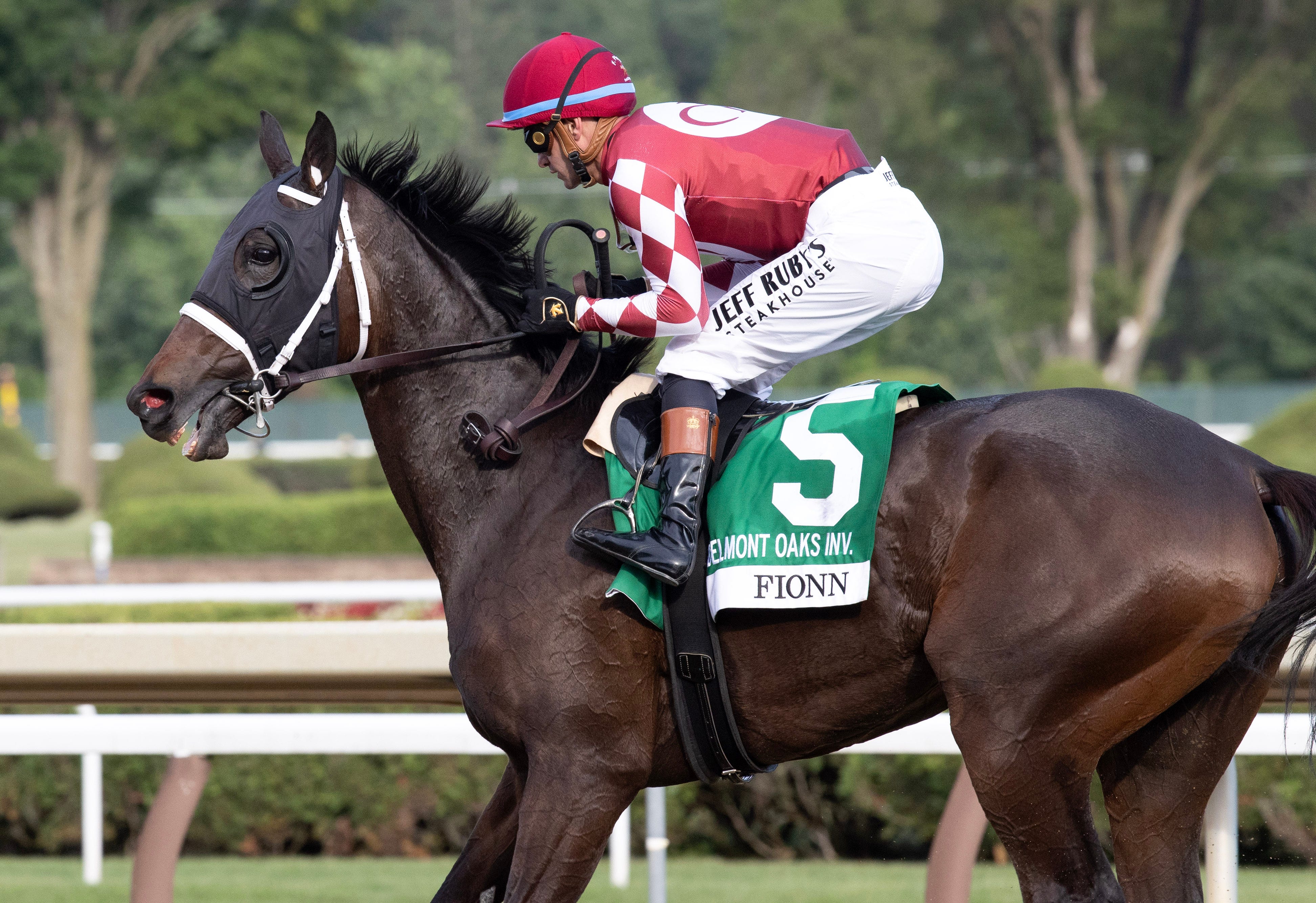 Fionn targets Queen Elizabeth II Challenge Cup as next start