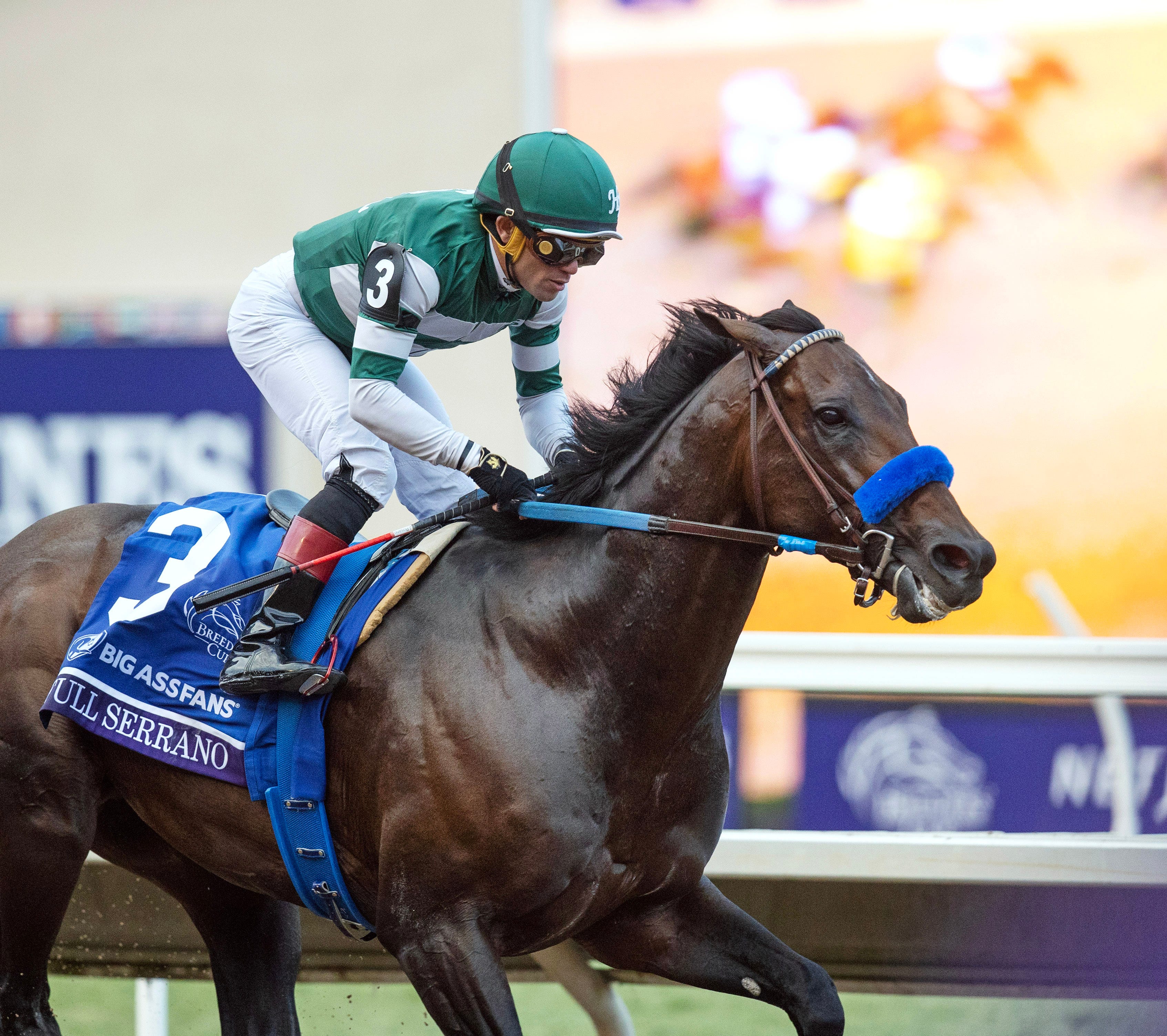 Full Serrano will start in Goodwood Stakes with eye on Breeders' Cup