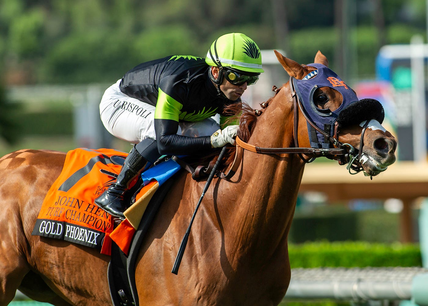 Gold Phoenix finally finds John Henry winner's circle