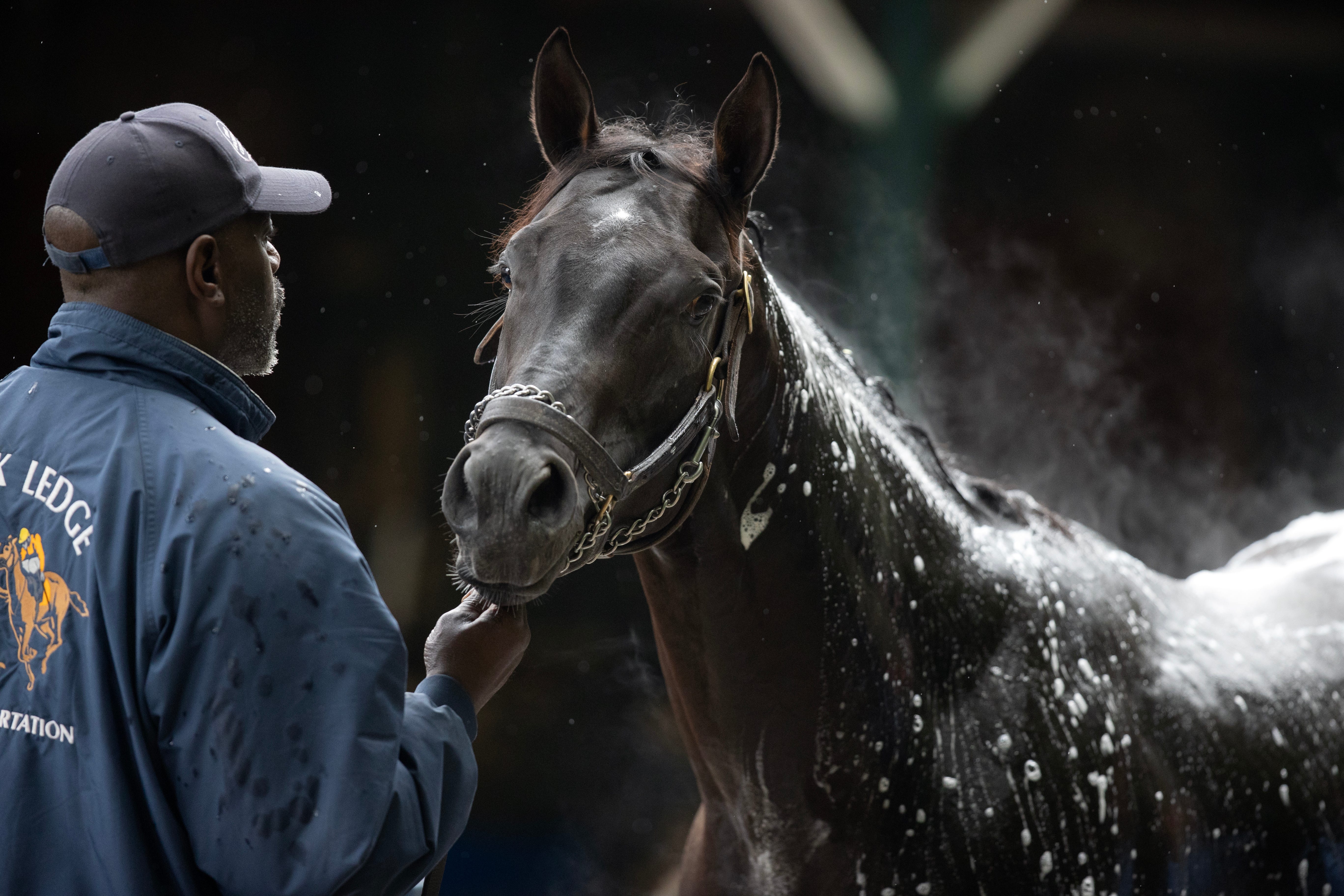 It's Our Time going to Champagne