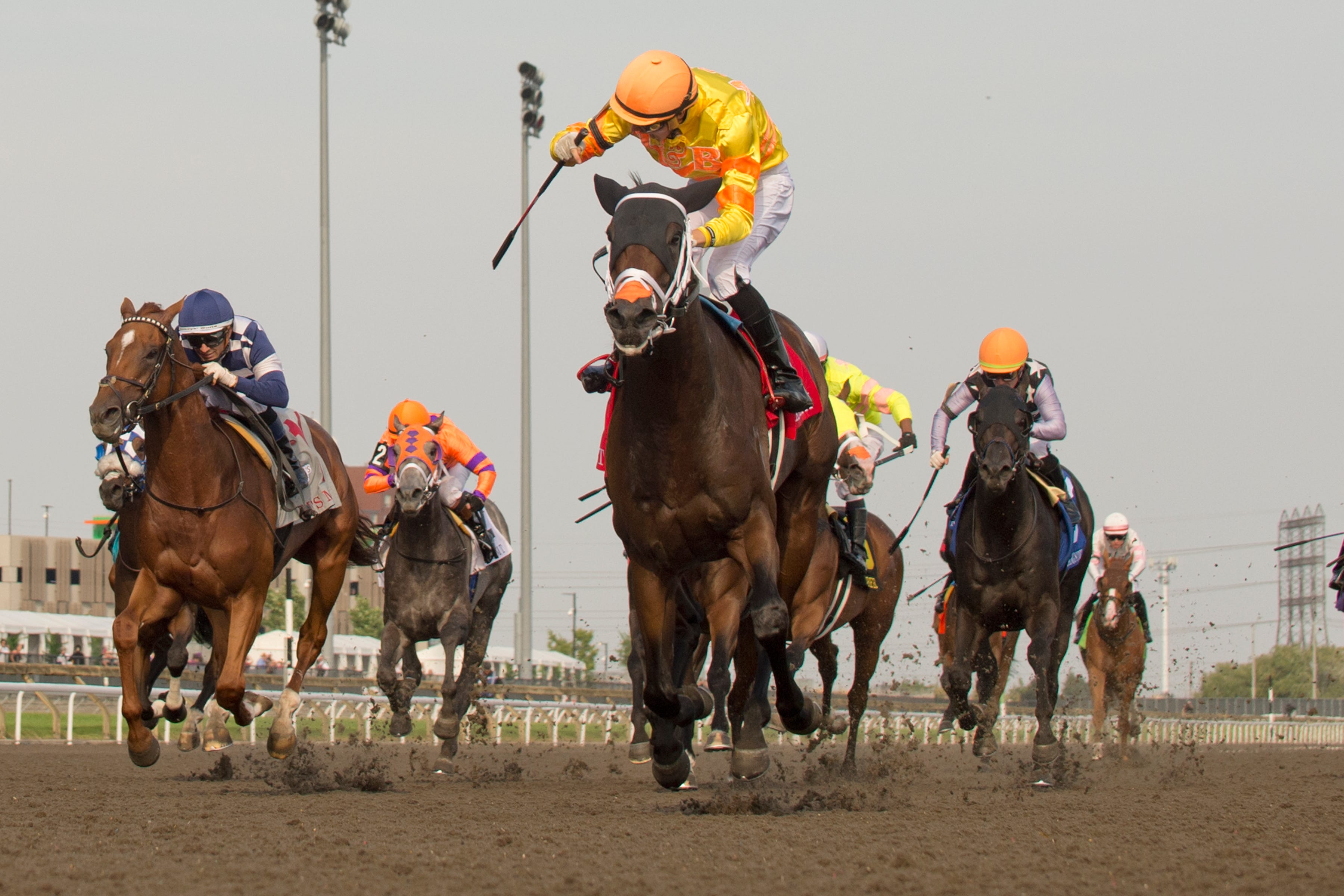Mansetti looks for another jewel in his crown in Prince of Wales