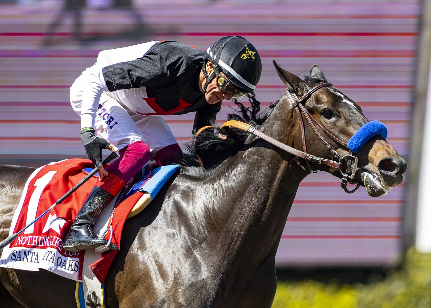 Baffert fillies look to rebound in Dark Mirage Stakes