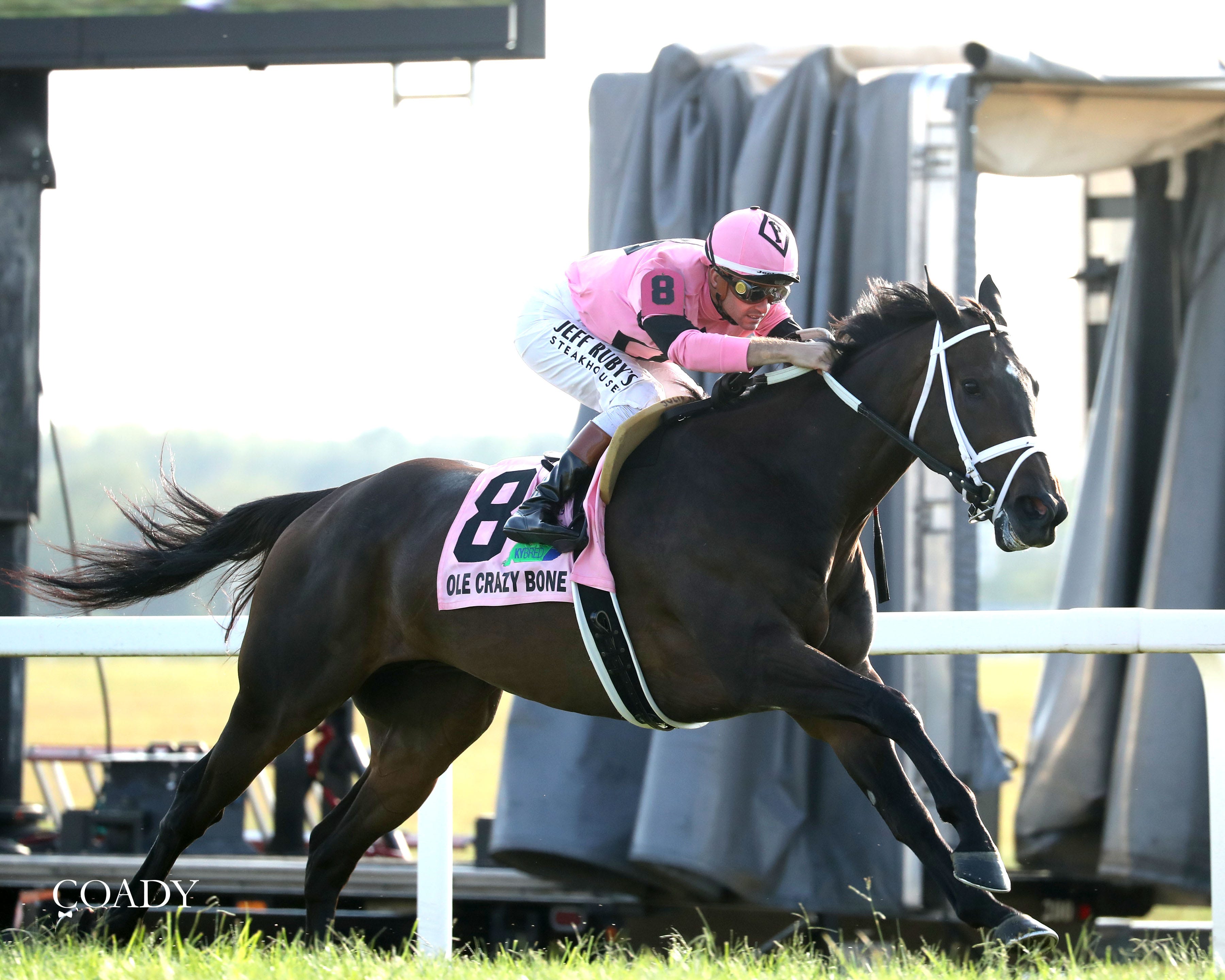 Maker notches sixth Kentucky Turf Cup win as Ole Crazy Bone romps
