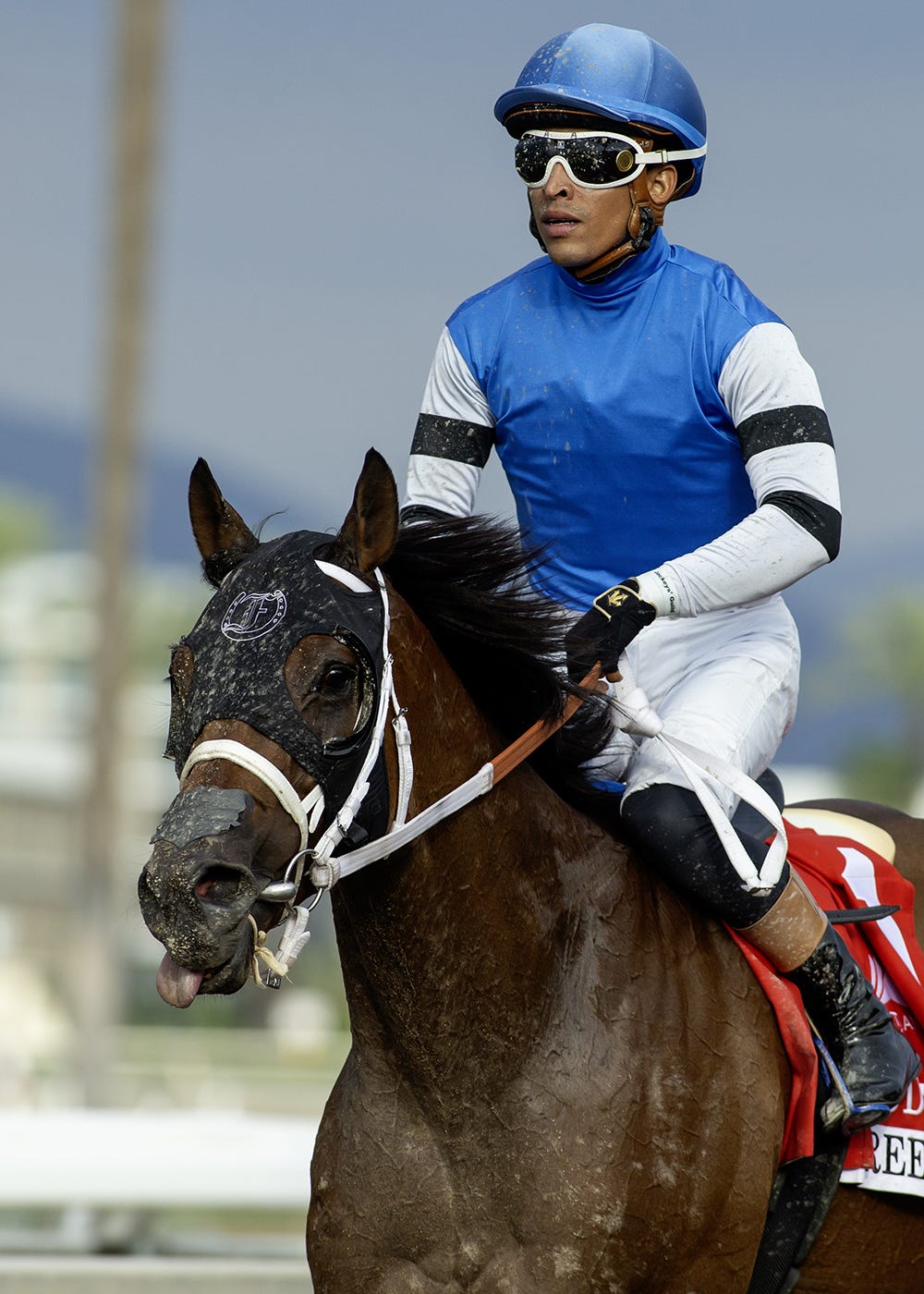 Reef Runner avenges DQ with new jockey; takes aim at BC Turf Sprint