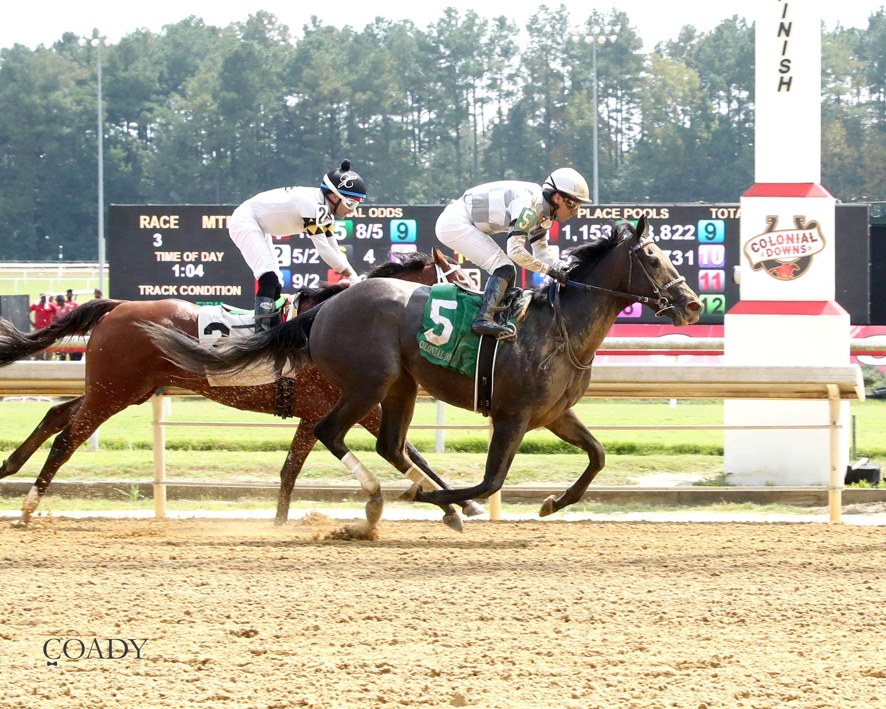 Laurel Entries And Results