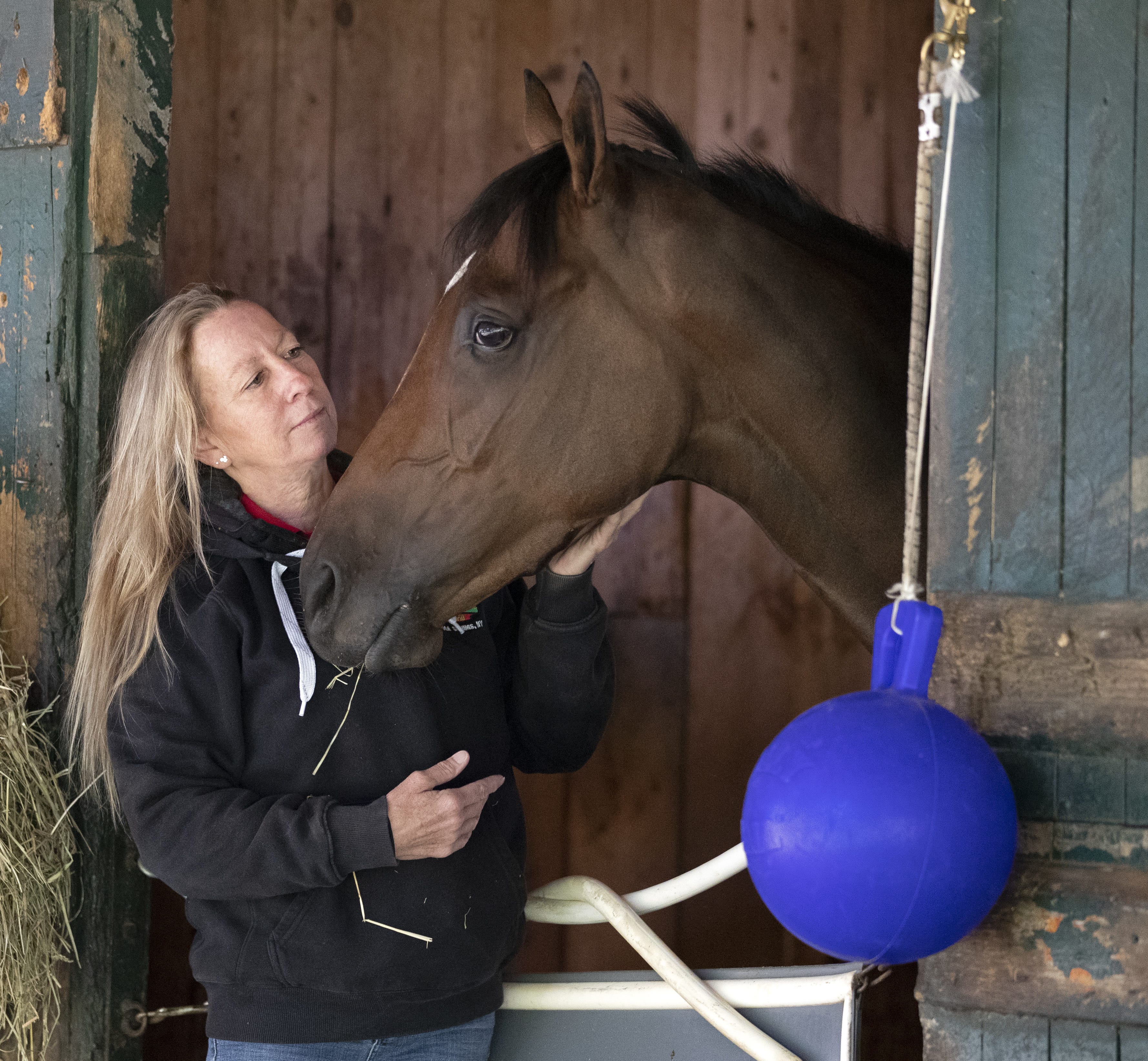 Trainer Gyarmati to saddle first horse in 19 months